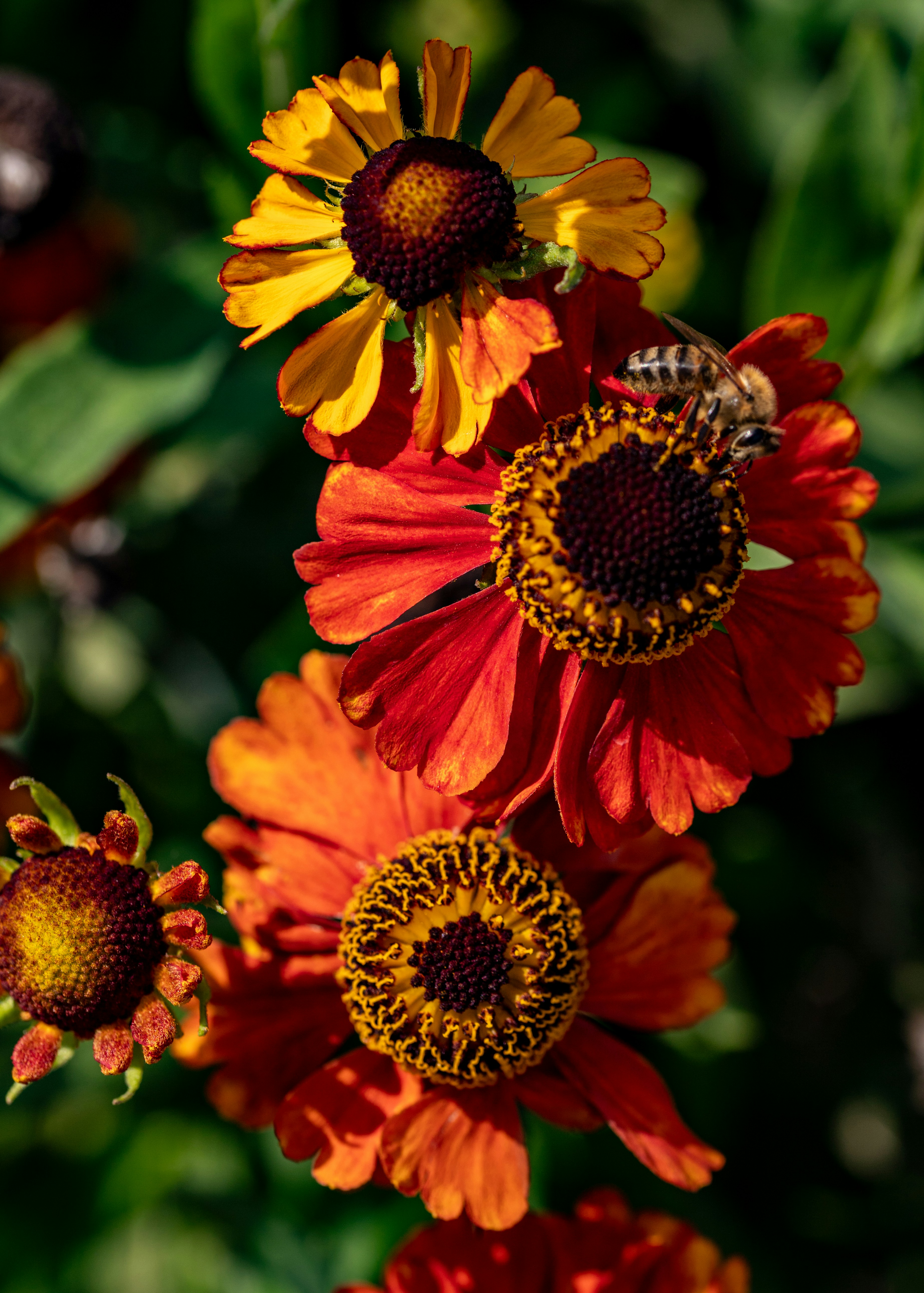 Photo by Bernd 📷 Dittrich with Canon EOS 6D Mark II