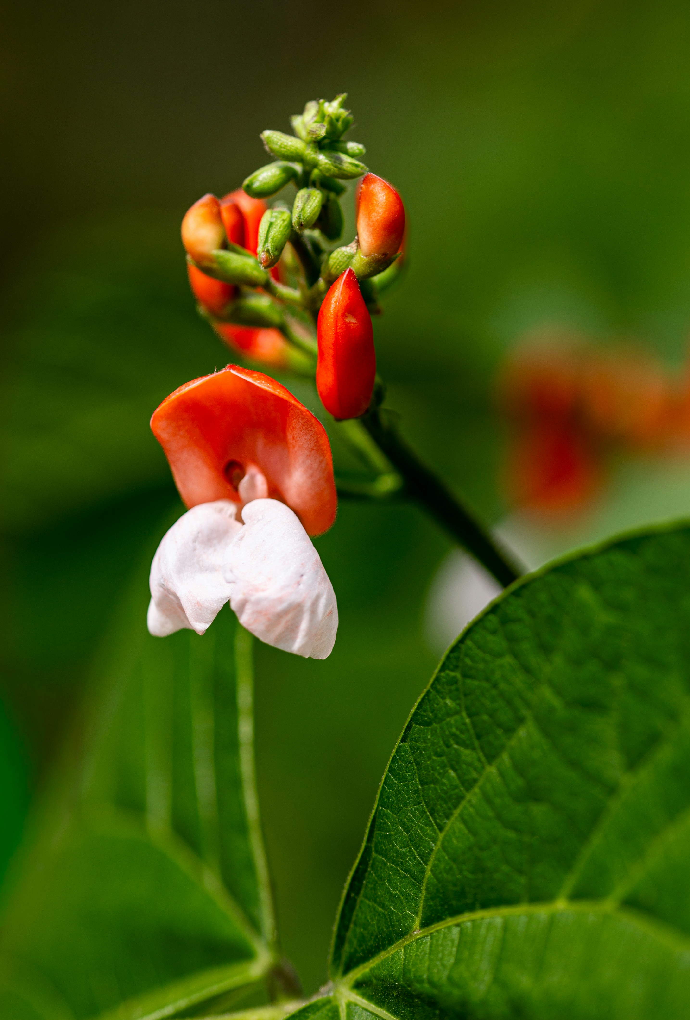 Photo by Bernd 📷 Dittrich with Canon EOS 6D