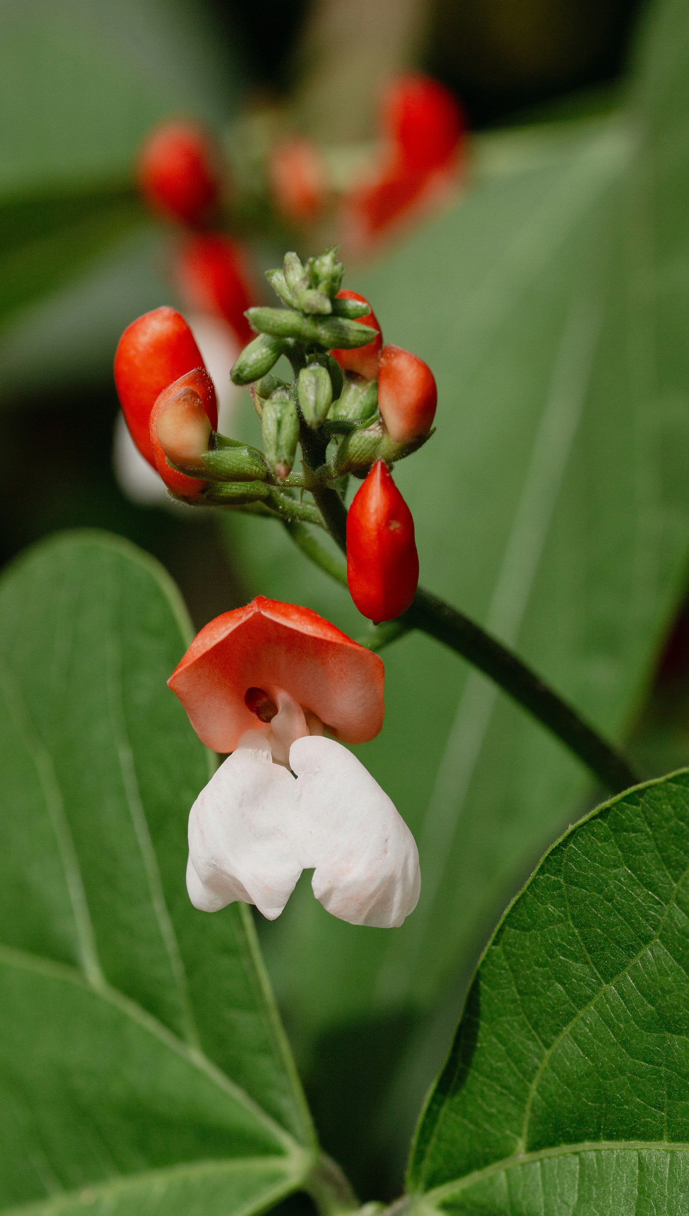 Photo by Bernd 📷 Dittrich with Canon EOS 6D