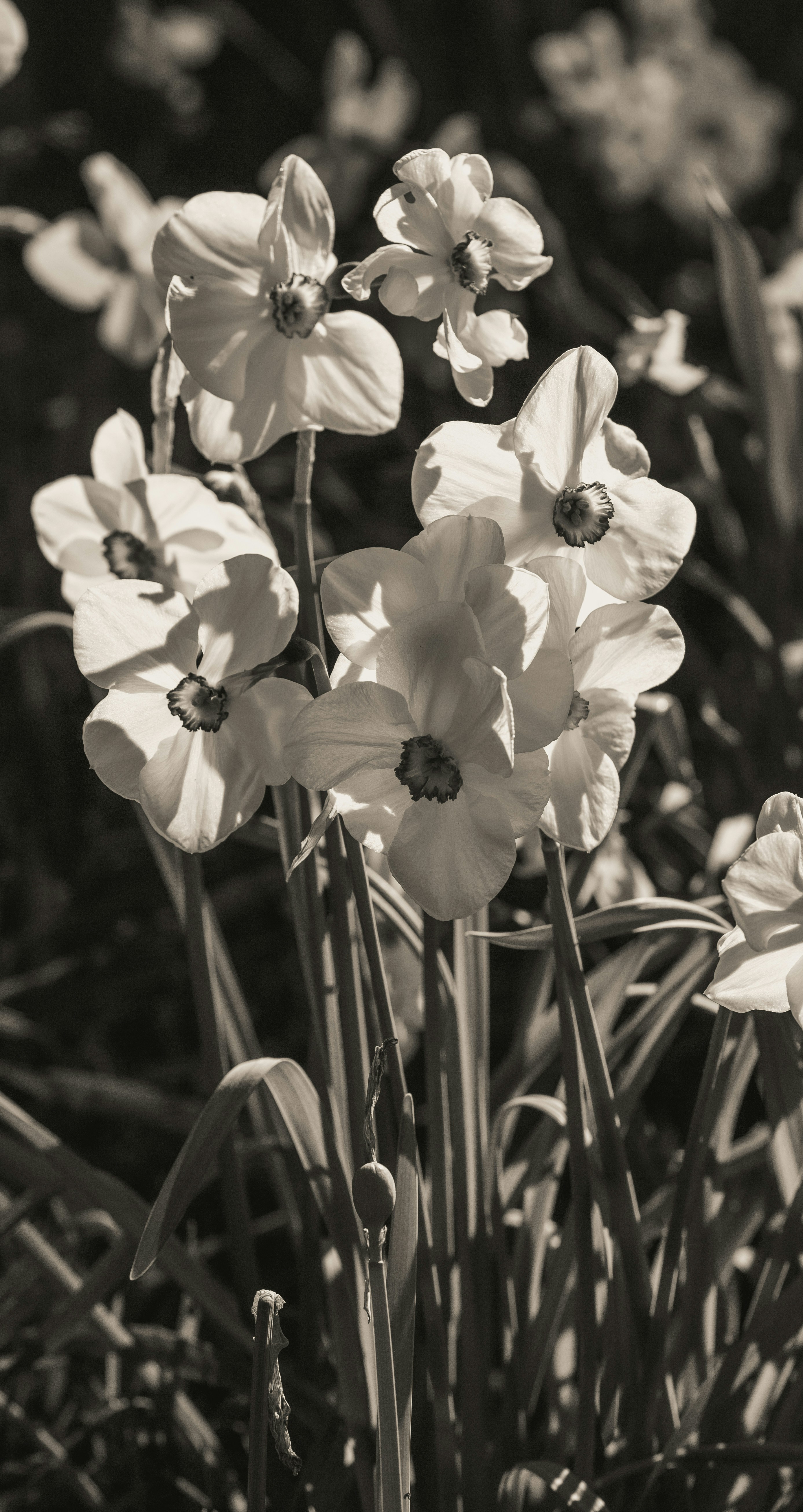 Photo by Bernd 📷 Dittrich with Canon EOS 6D Mark II