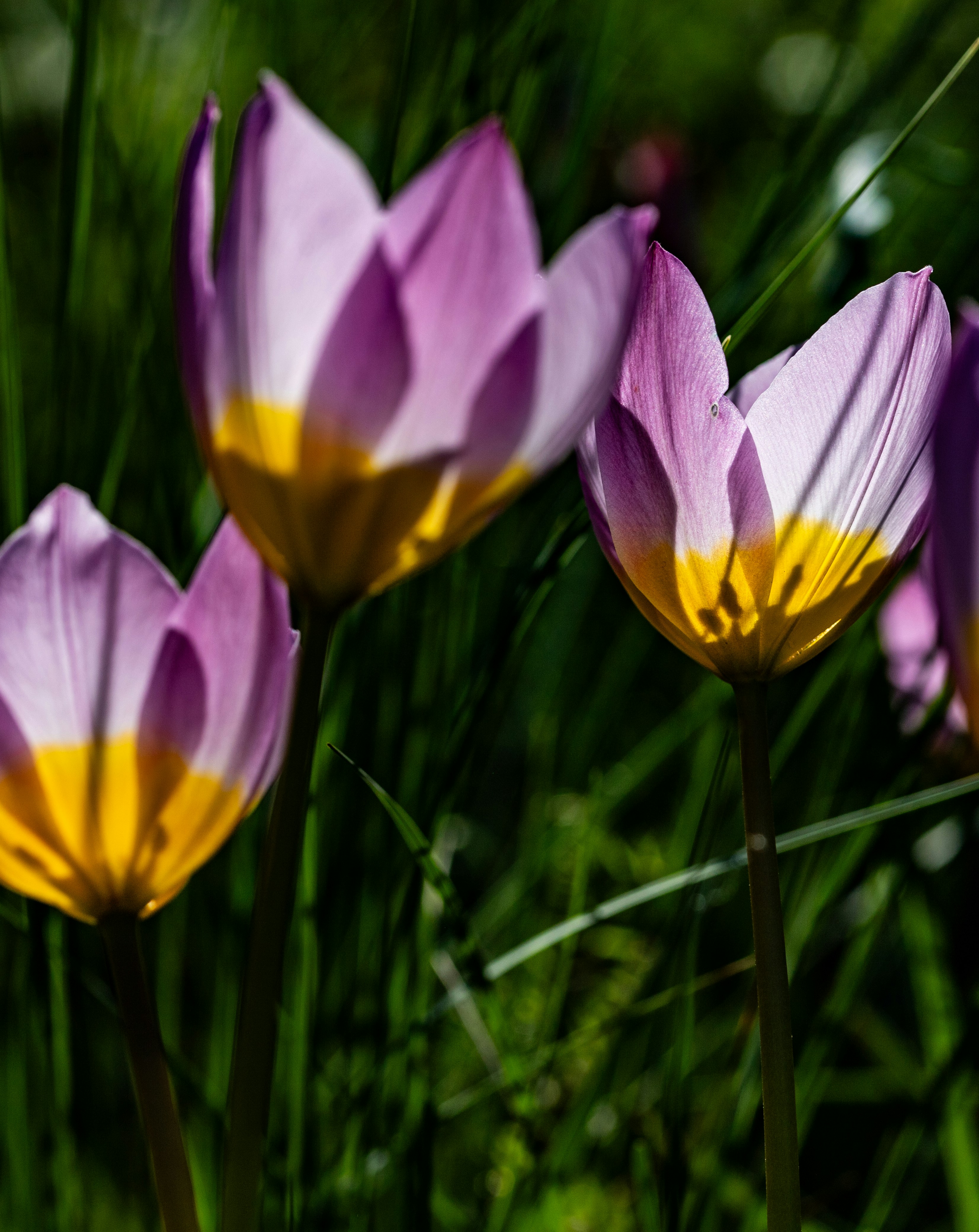 Photo by Bernd 📷 Dittrich with Canon EOS 6D Mark II