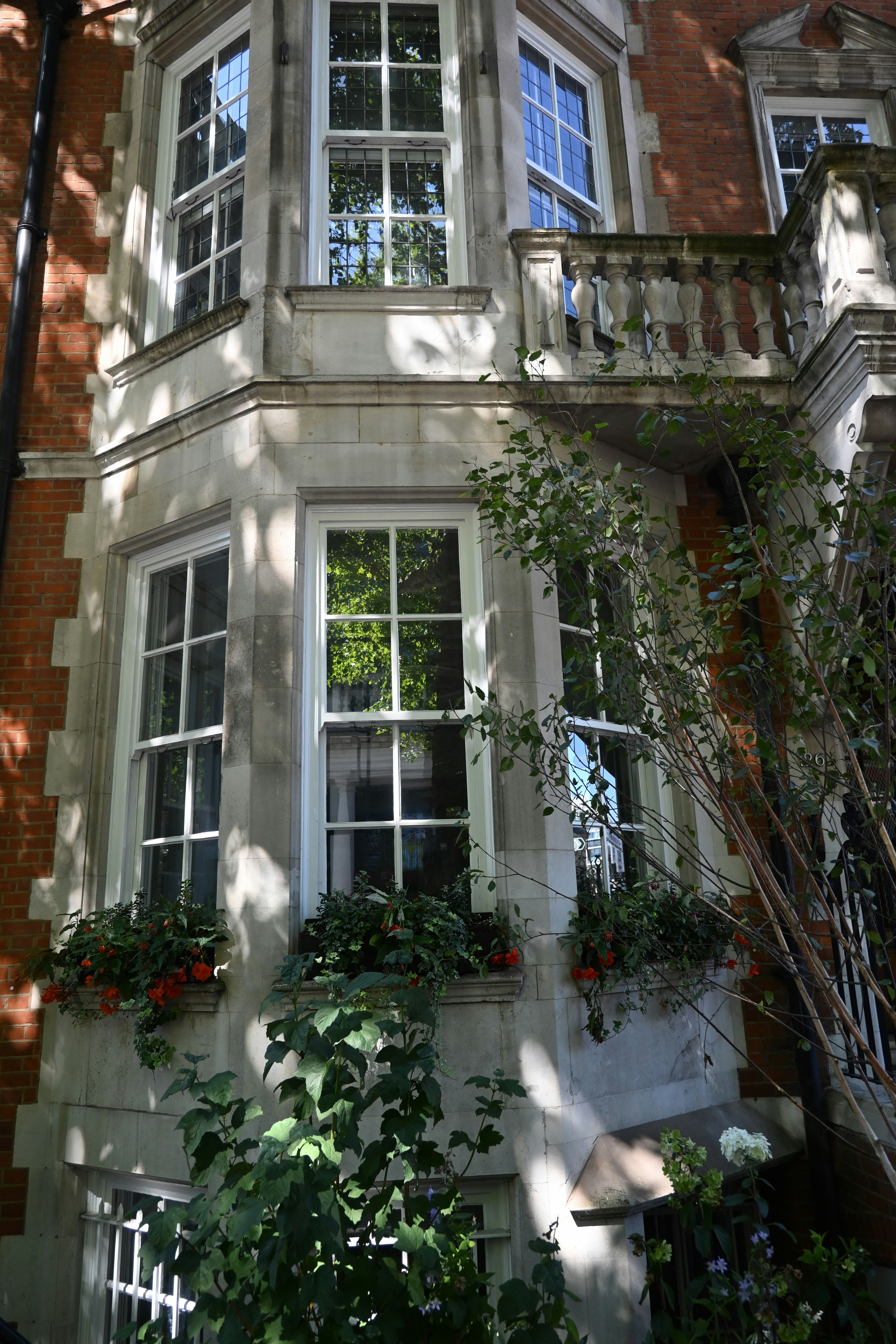 Photo by Karolina Bobek with Nikon Z30