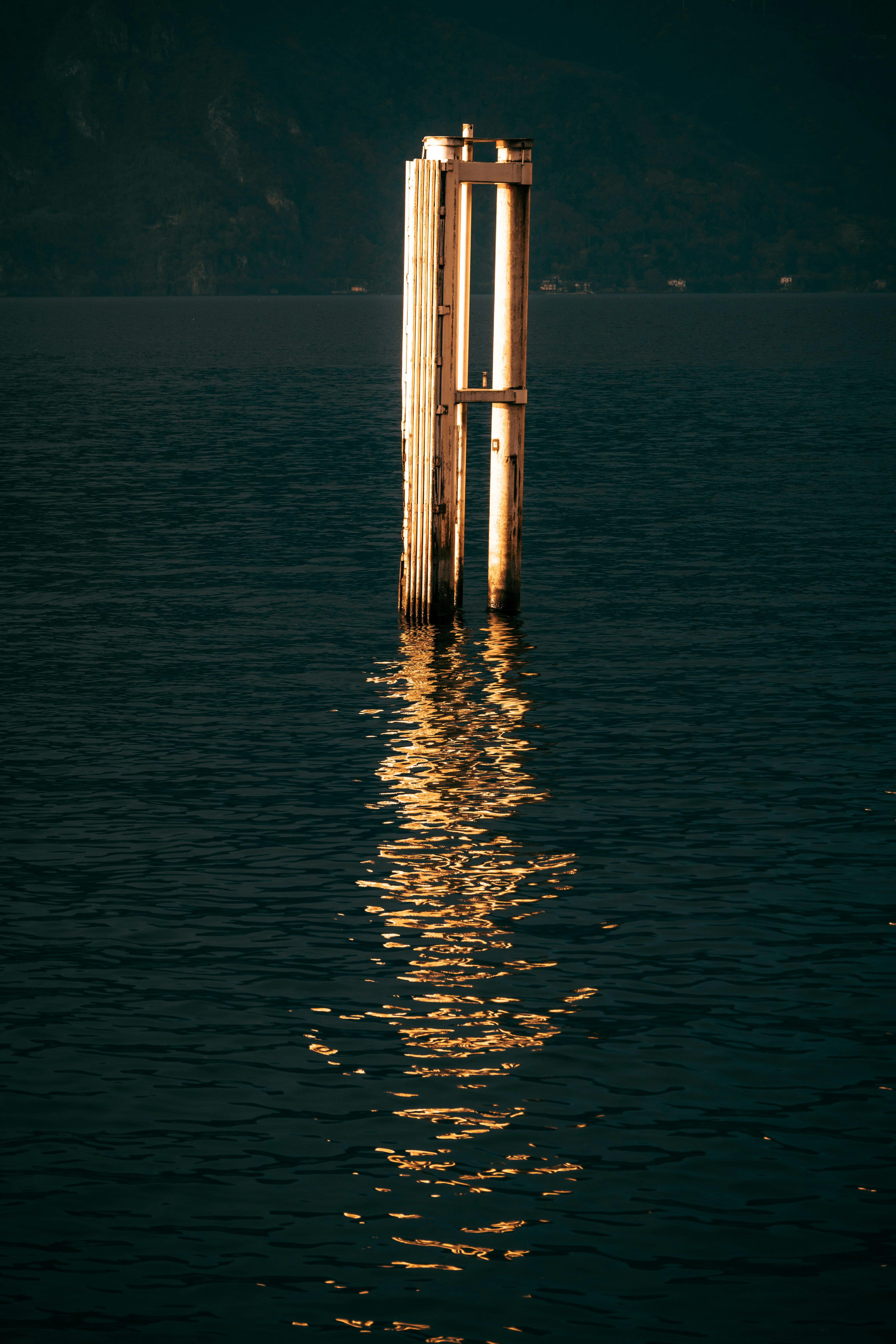 Photo by Aaryan Kohli with Canon EOS R