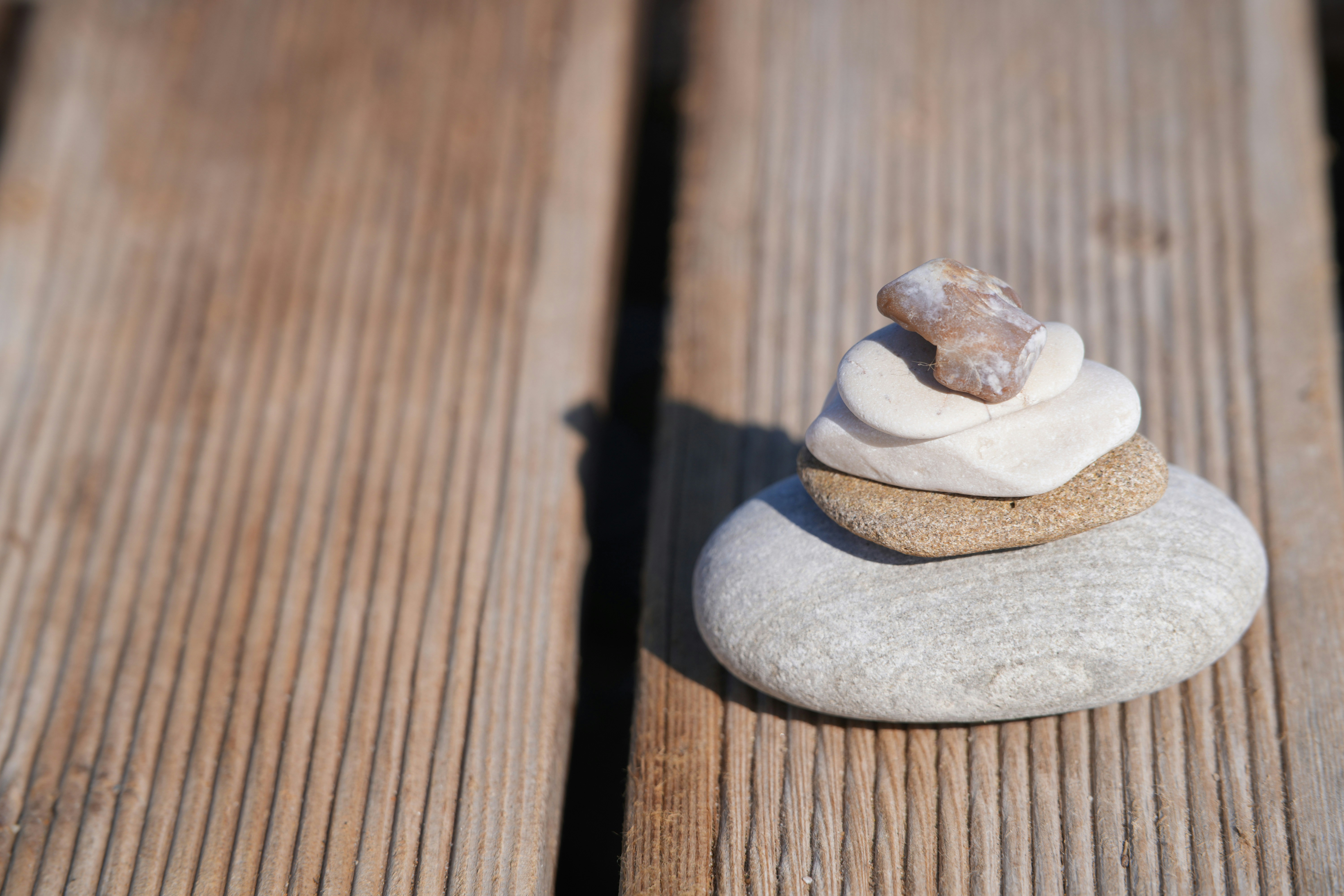 Photo by Tadeusz Zachwieja with Sony Alpha 7R V