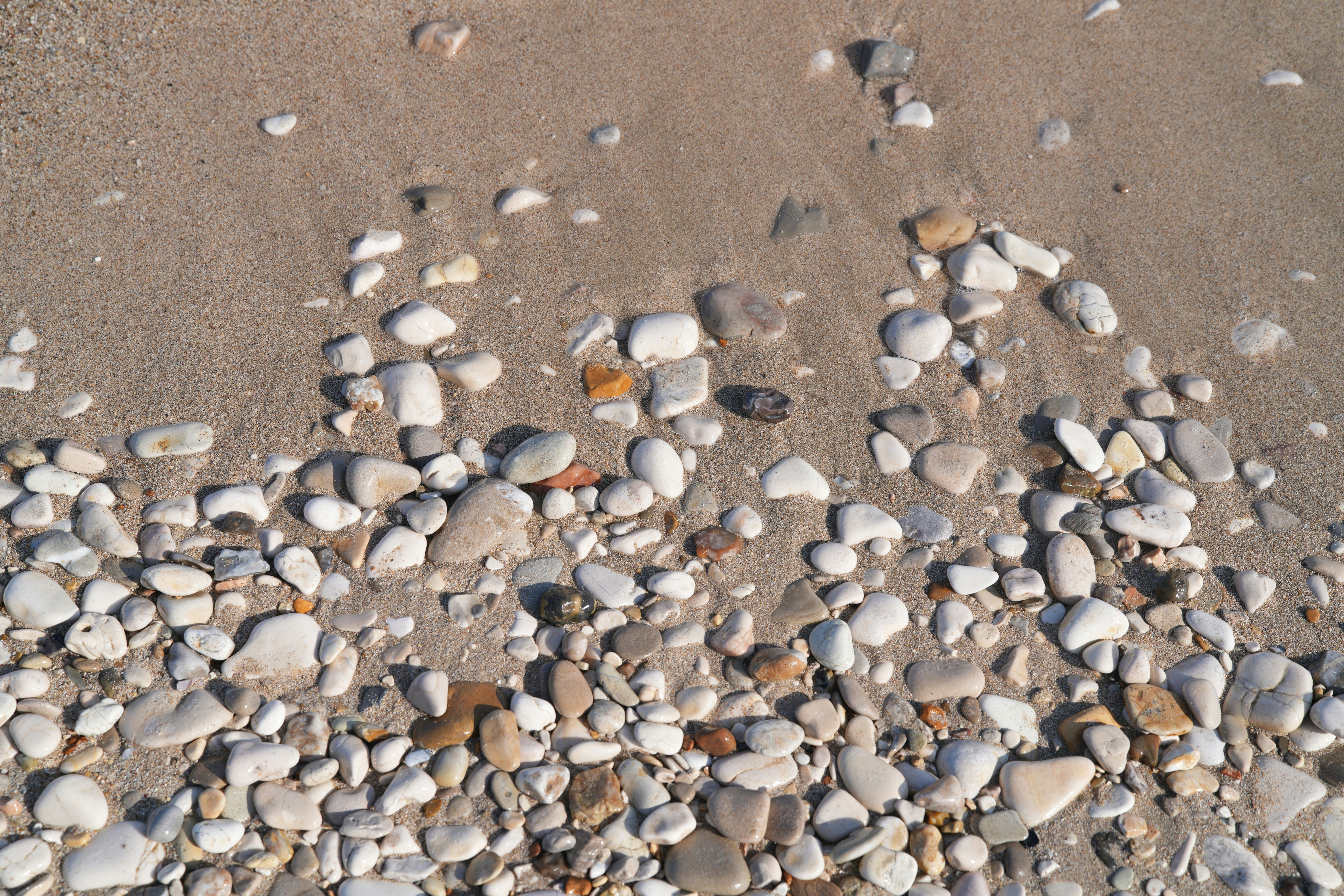 Photo by Tadeusz Zachwieja with Sony Alpha 7R V