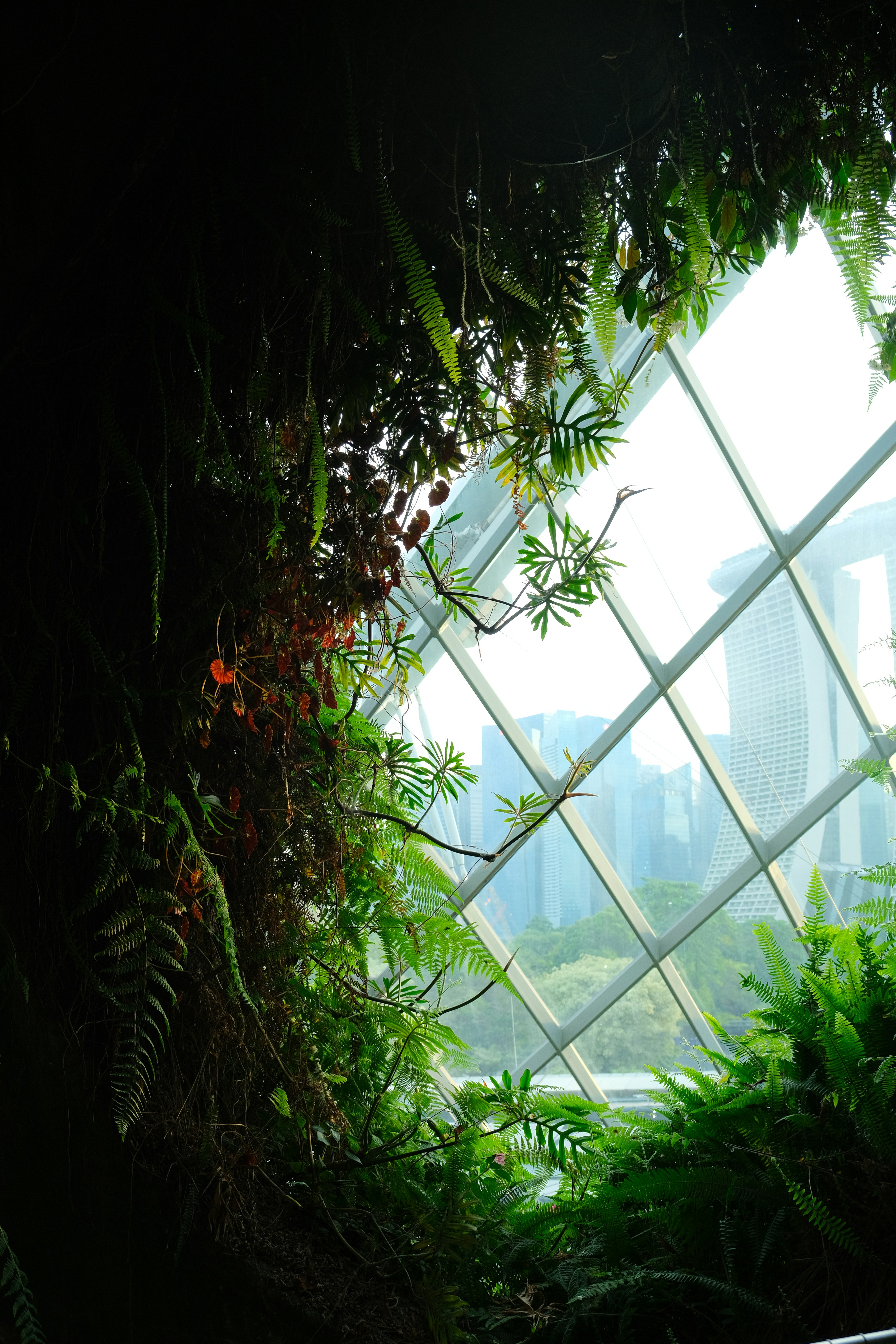 Green Cathedral Overlooking a Cityscape Through Geometric Glass