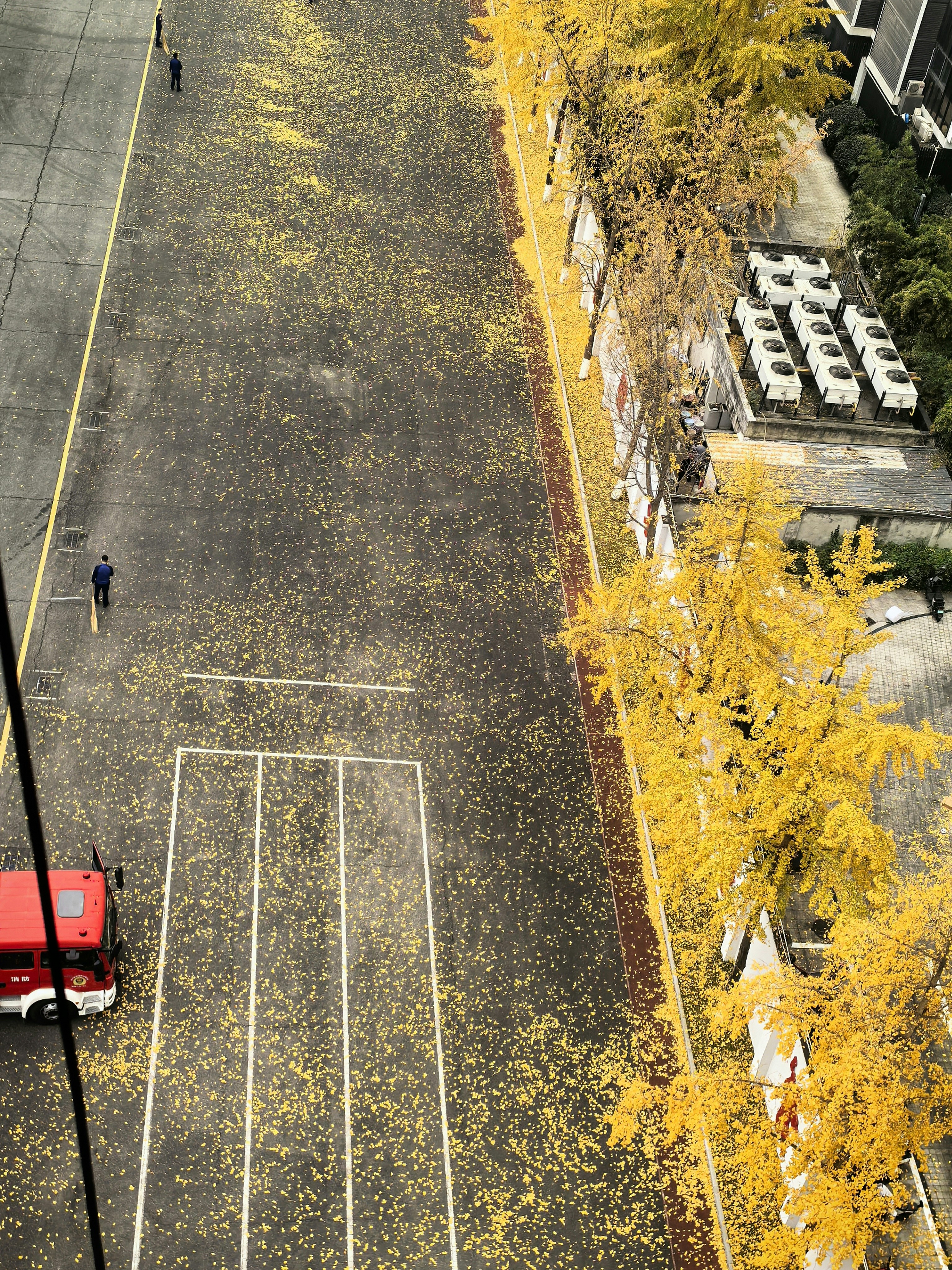 Qu Yu (@easonqu) | Unsplash Photo Community