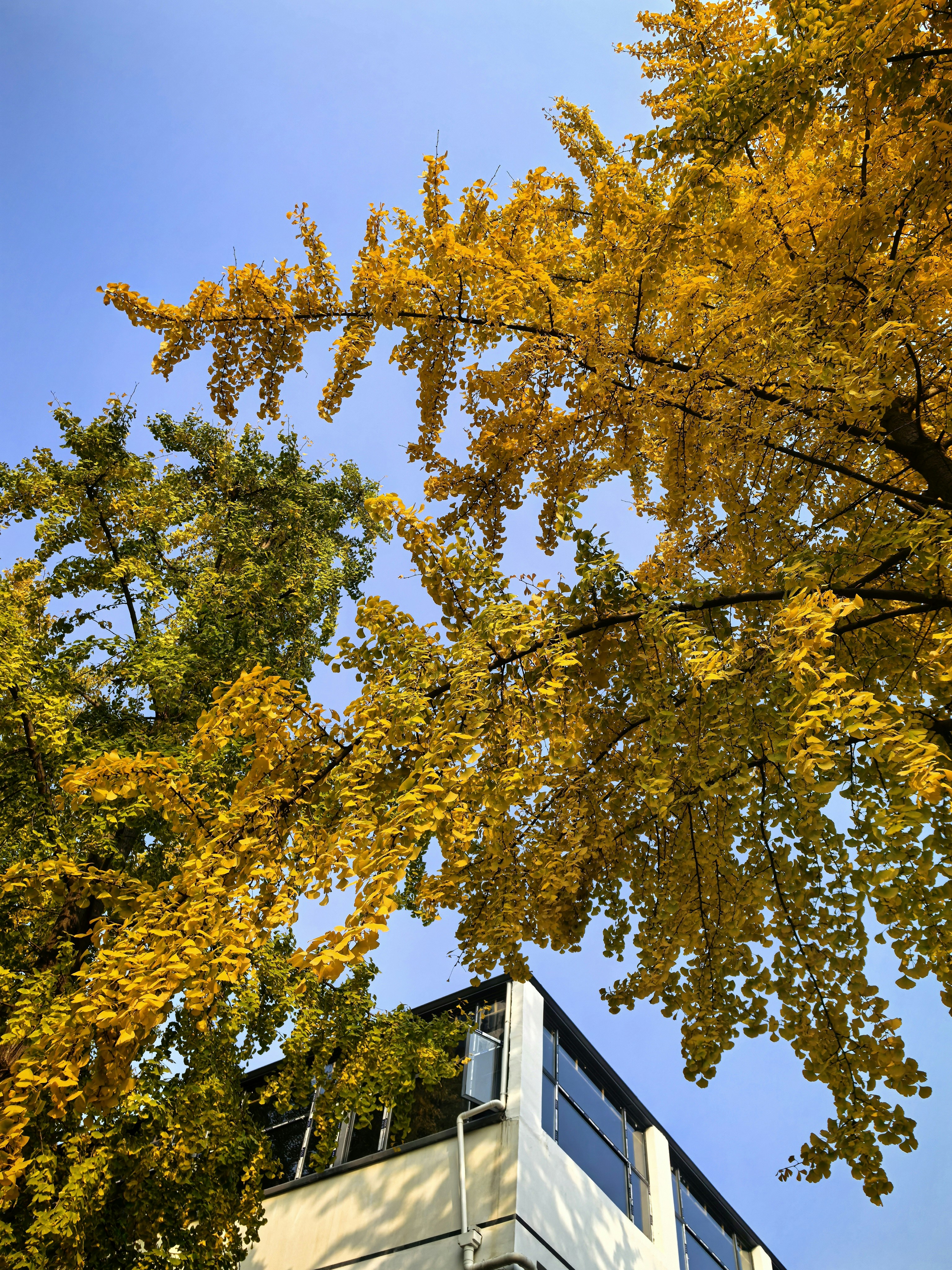 Qu Yu (@easonqu) | Unsplash Photo Community