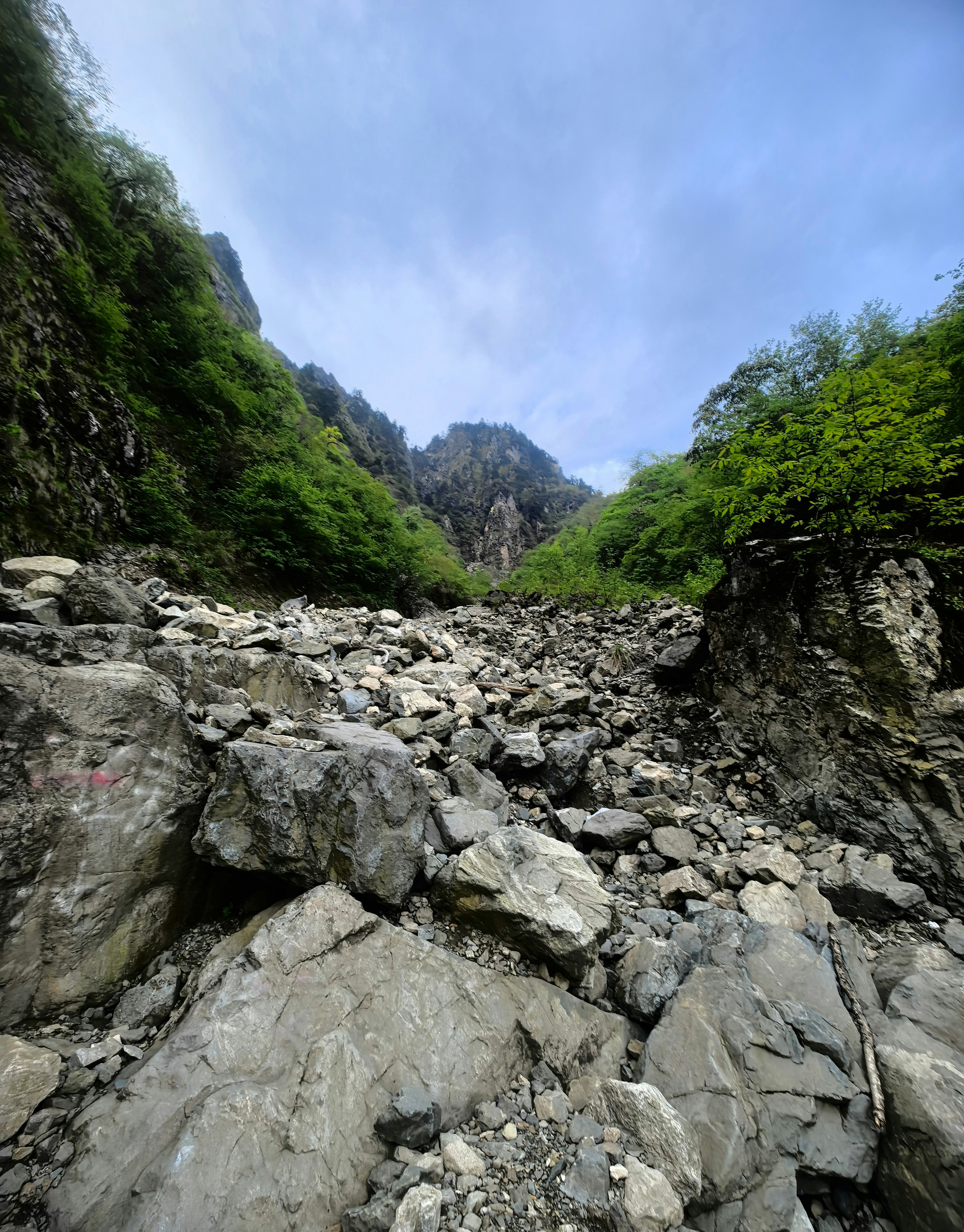 Qu Yu (@easonqu) | Unsplash Photo Community