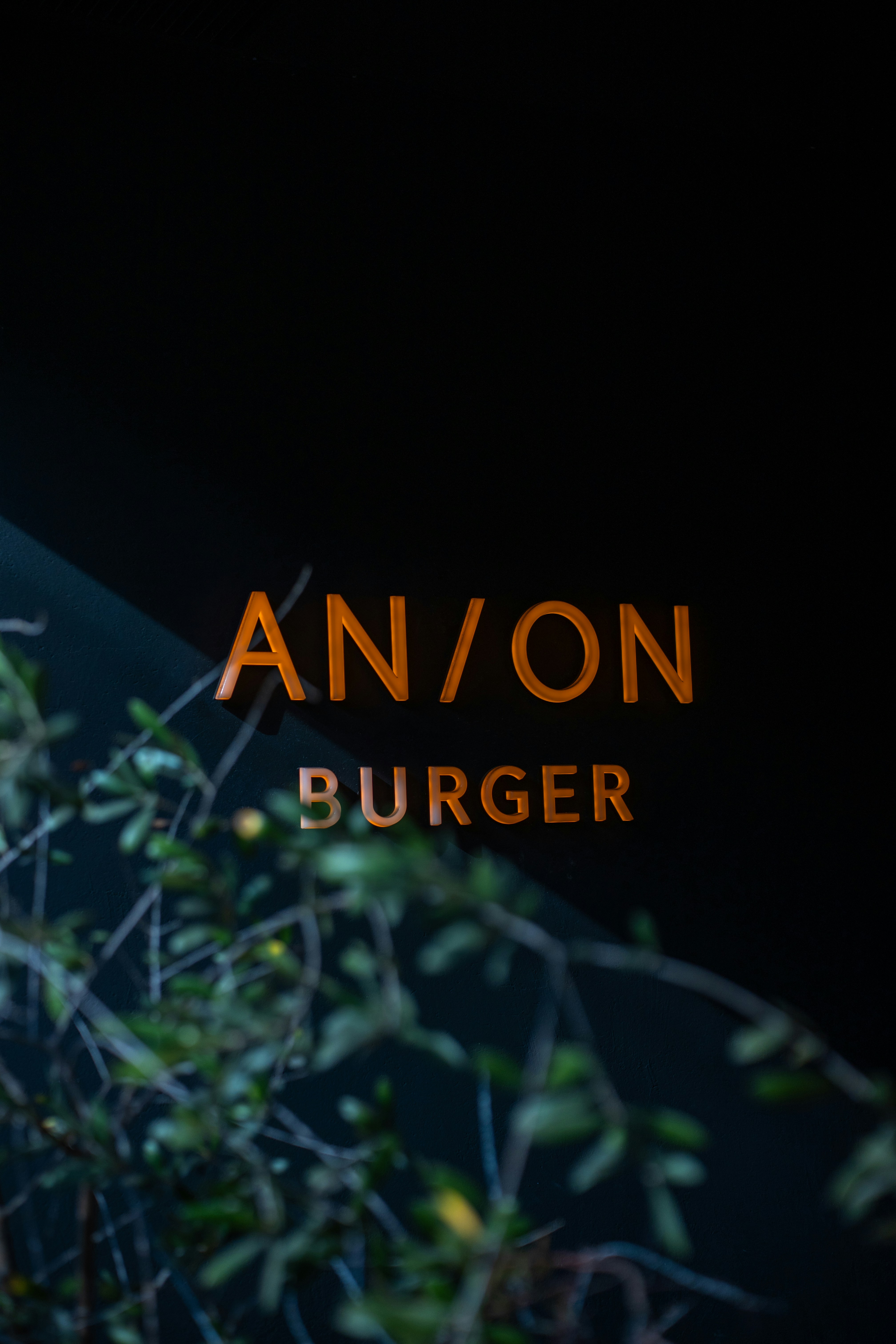 Photo by Kouji Tsuru with Nikon Z6 III