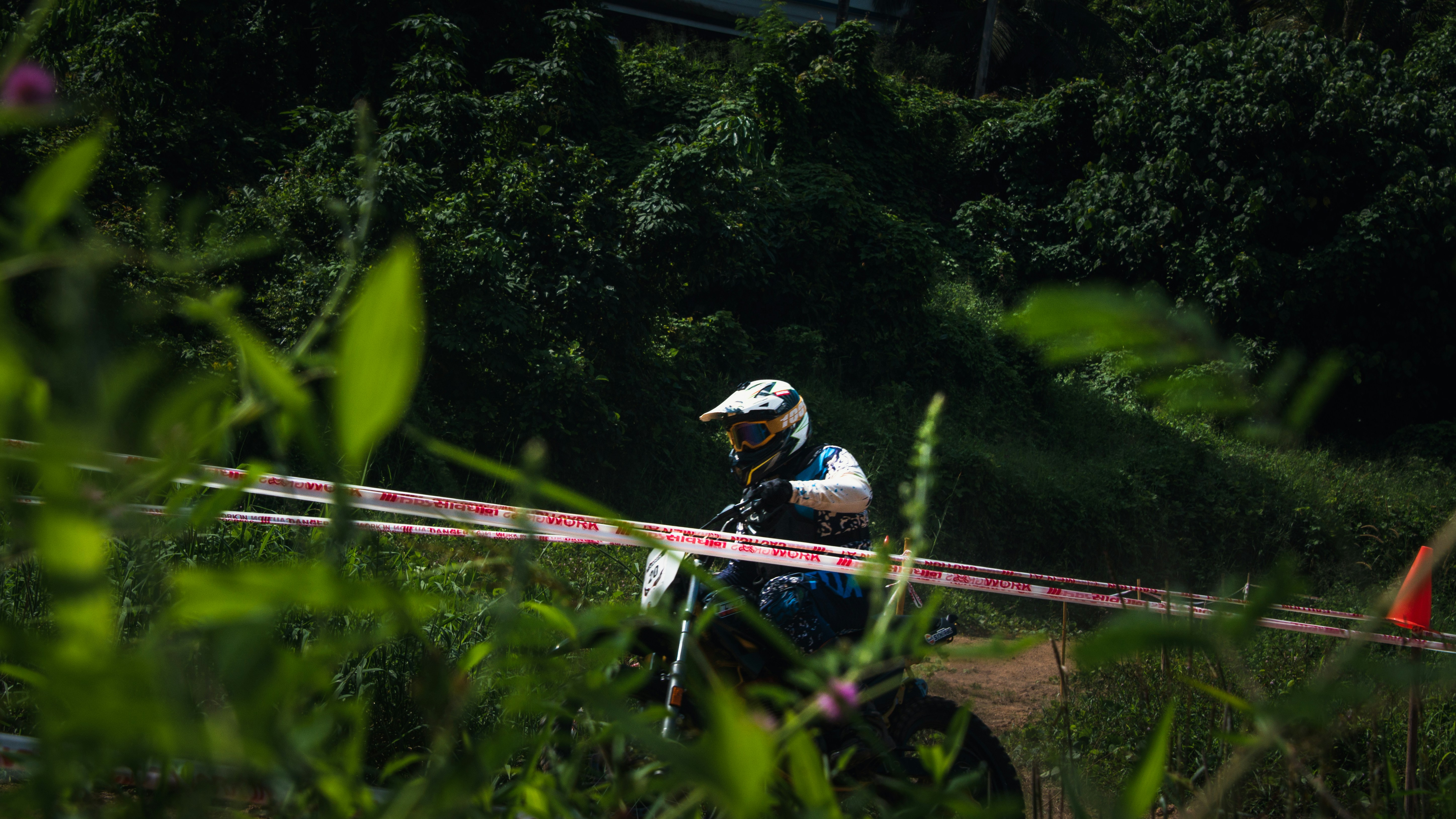 Cyclist Navigates a Shaded Forest Descent