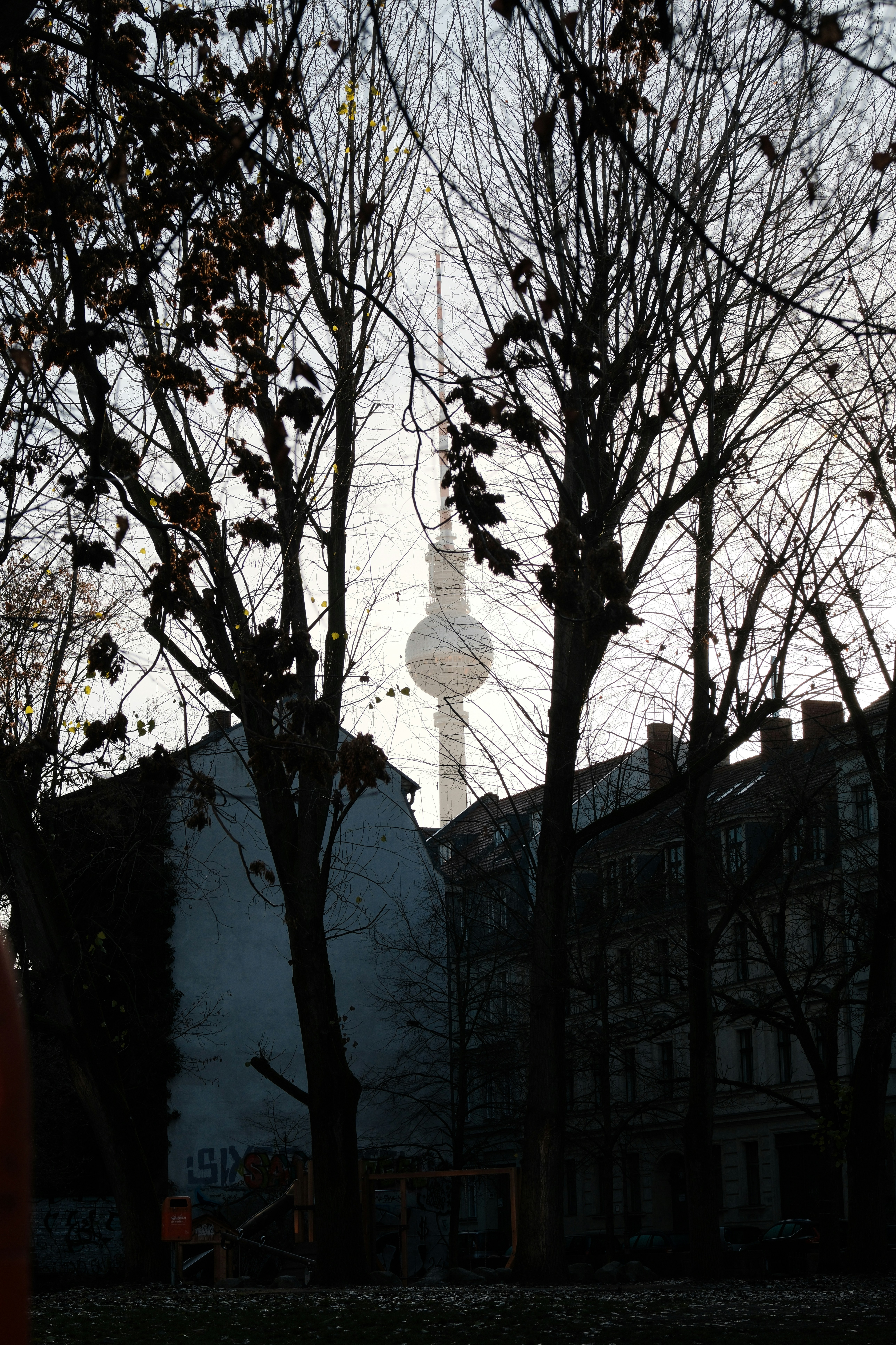 Photo by Aleksei Agafonov with Fujifilm X-T5