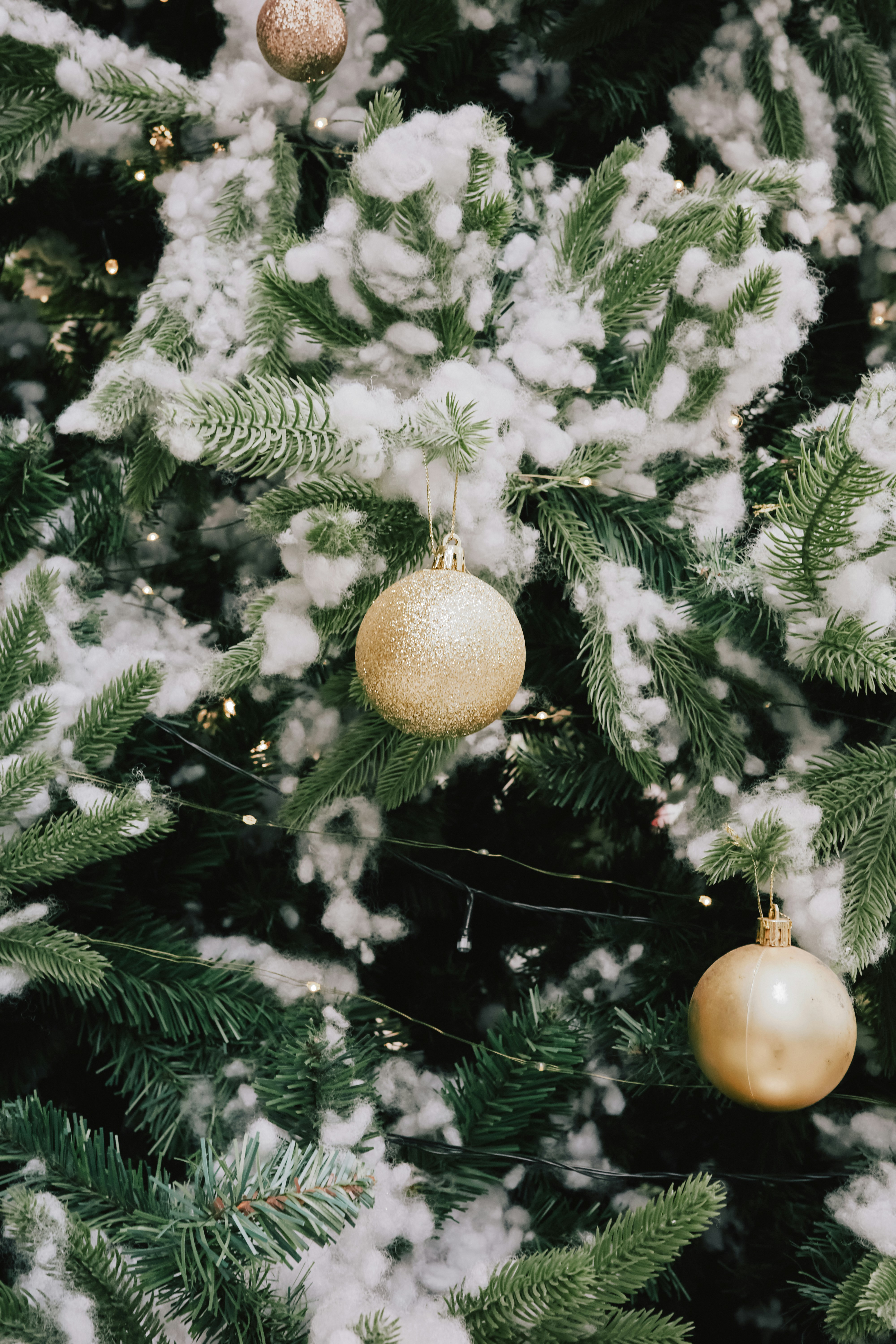 Ornamental Christmas Glow: Gold Orbs Amid Snowy Fir Branches