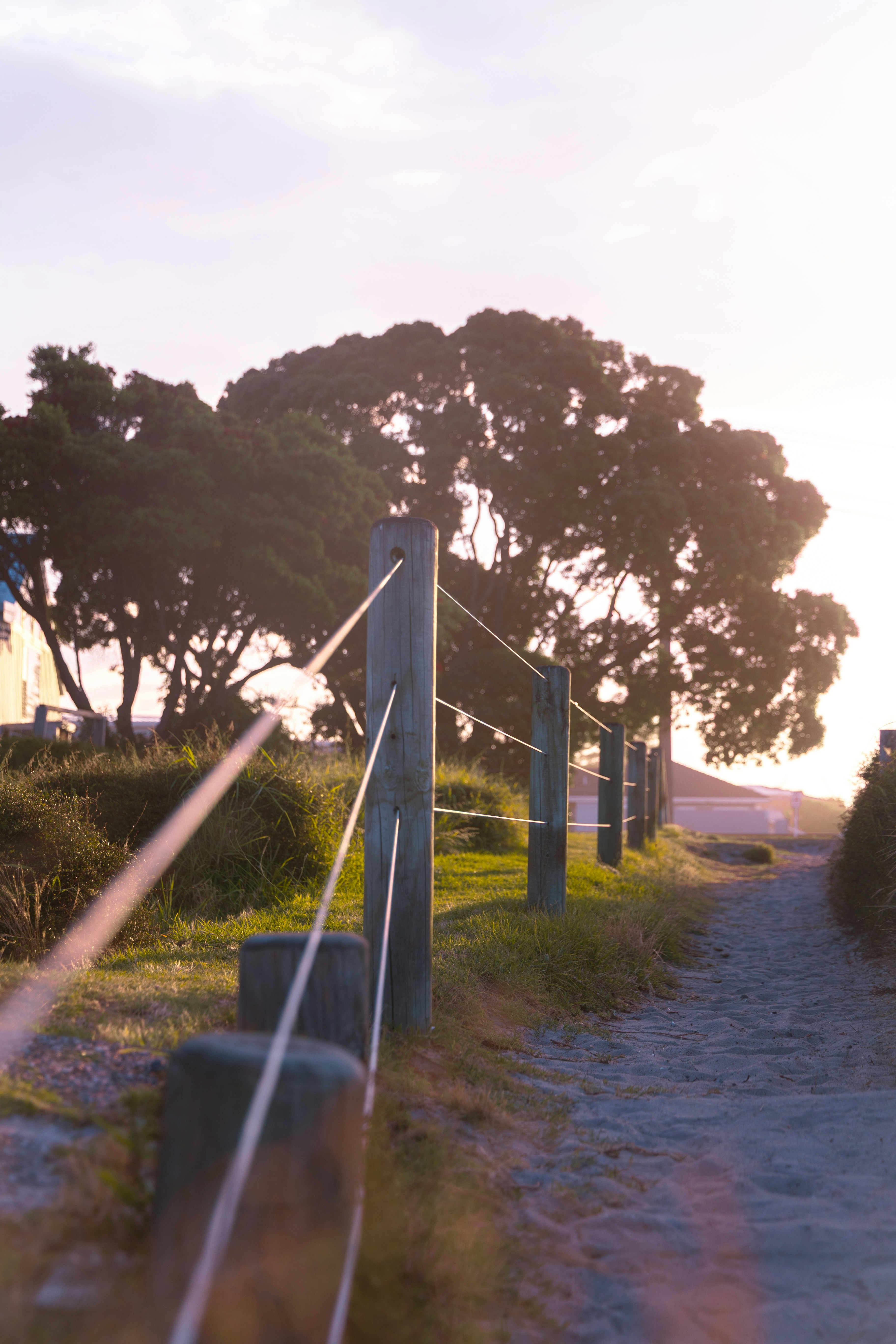 Sunlit Path: A Quiet Fence Line Leading to Dunes