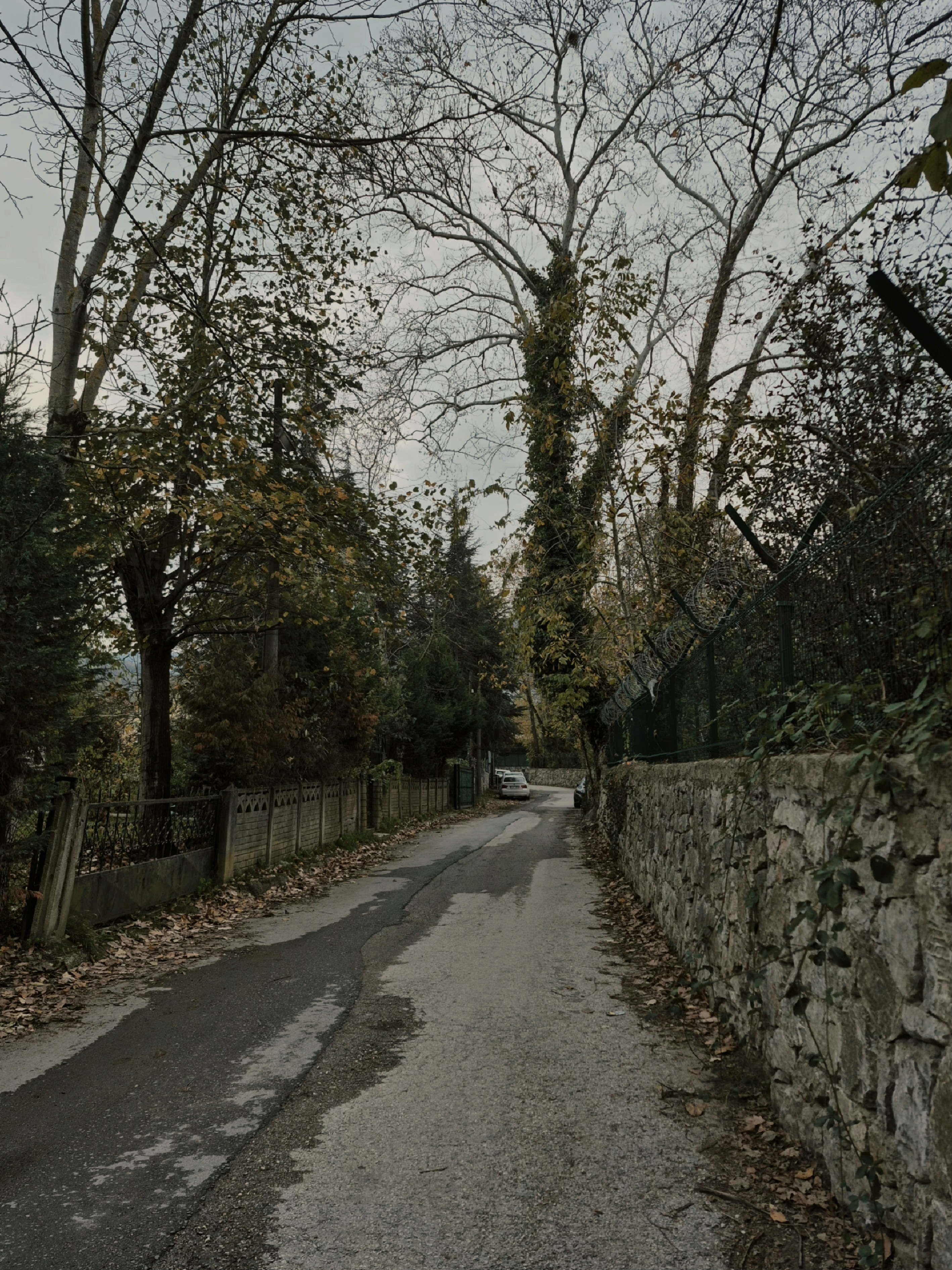 A winding road lined with trees and stone walls.