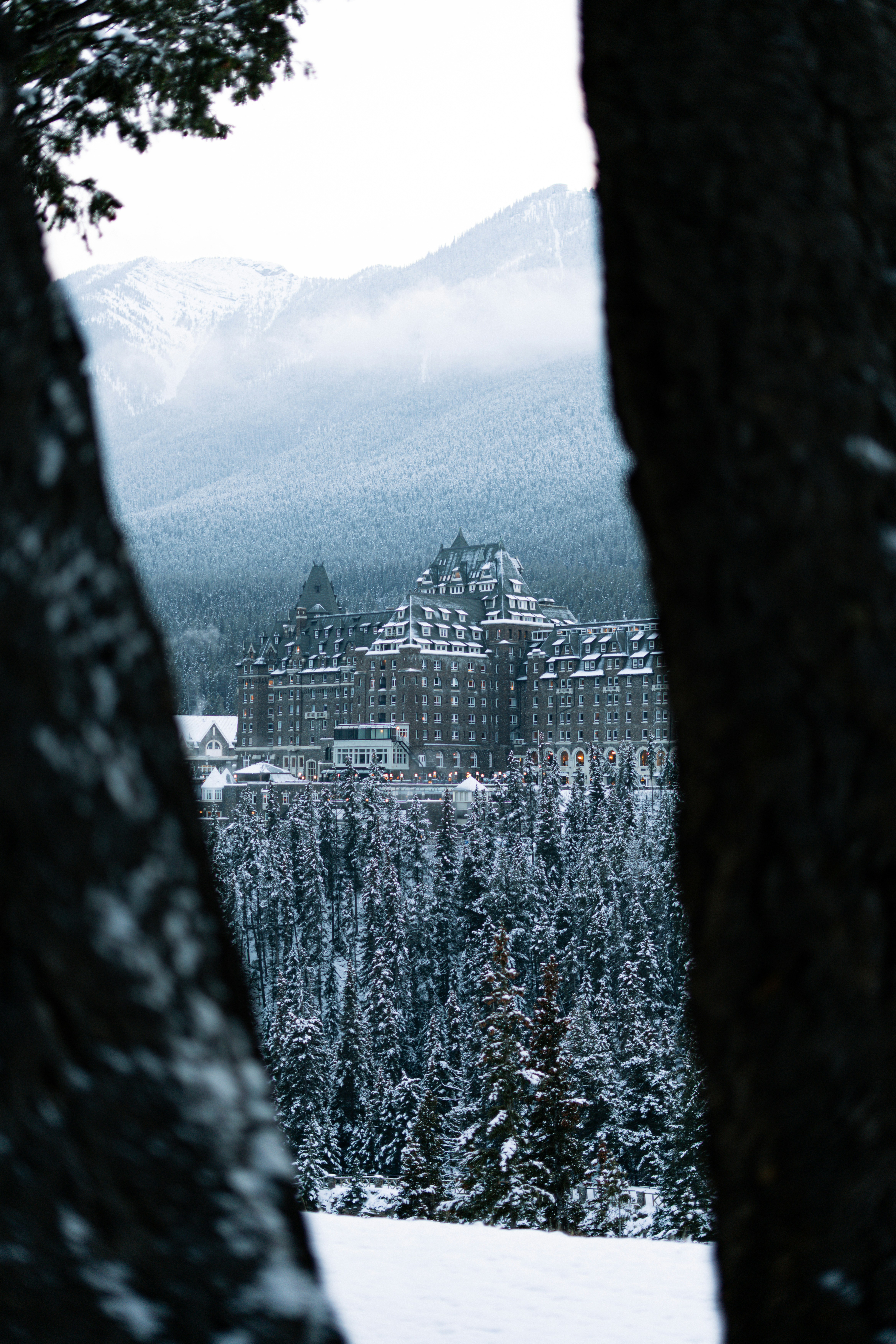 Photo by Josh Marty with Sony Alpha 7 IV