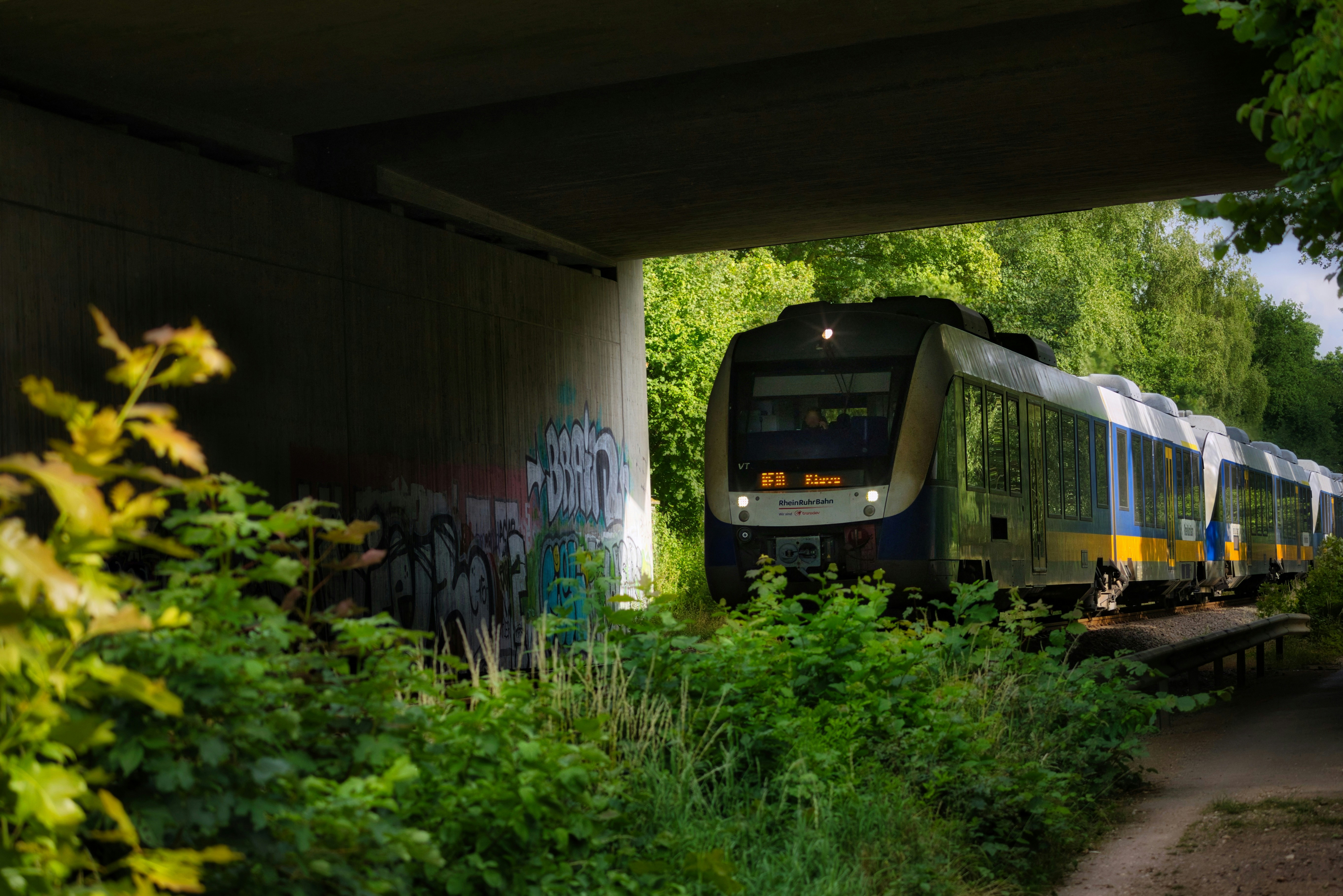 Underpass Express: A green corridor frames a commuter train