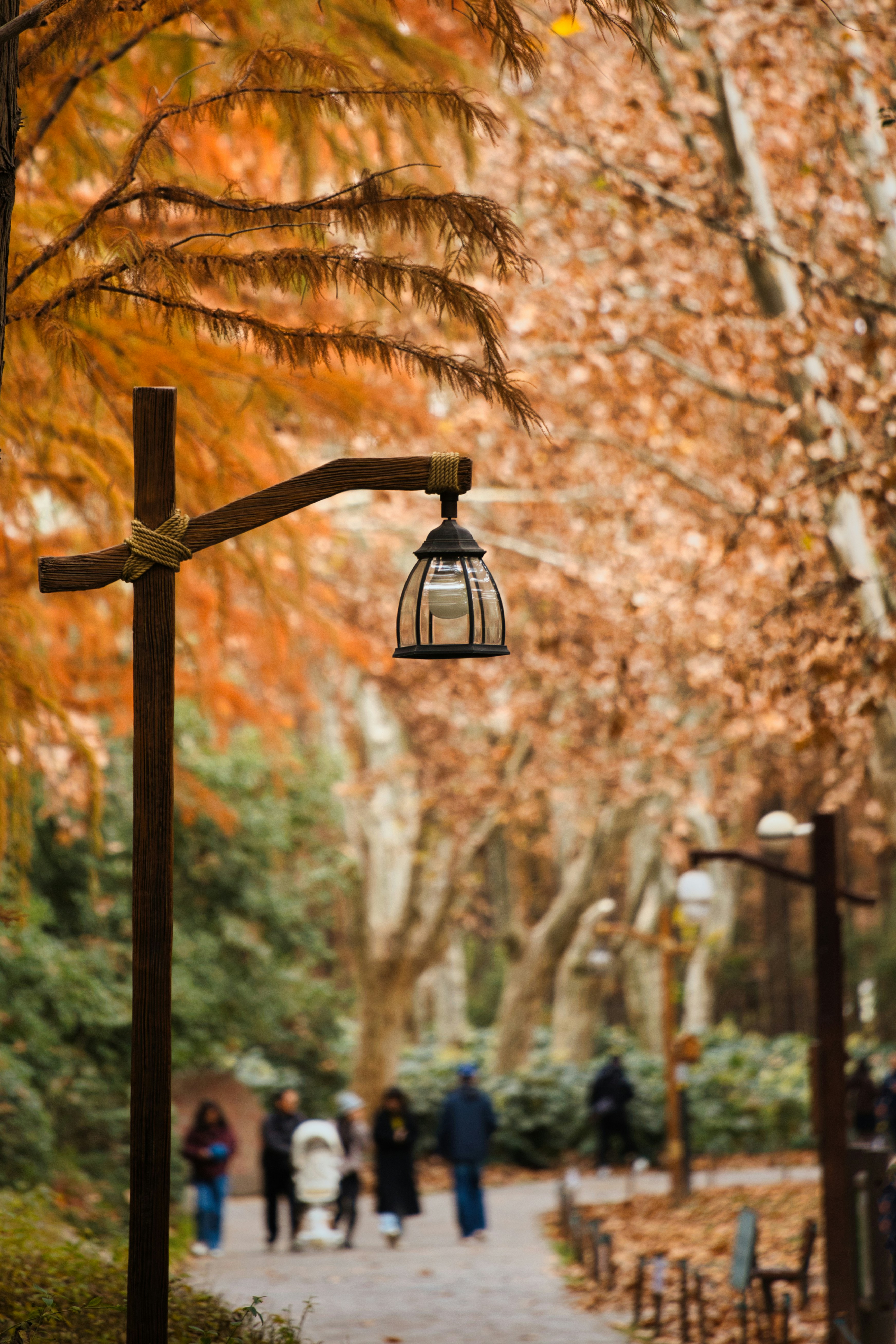 Lantern on a Rustic Post guiding a leaf-strewn autumn path