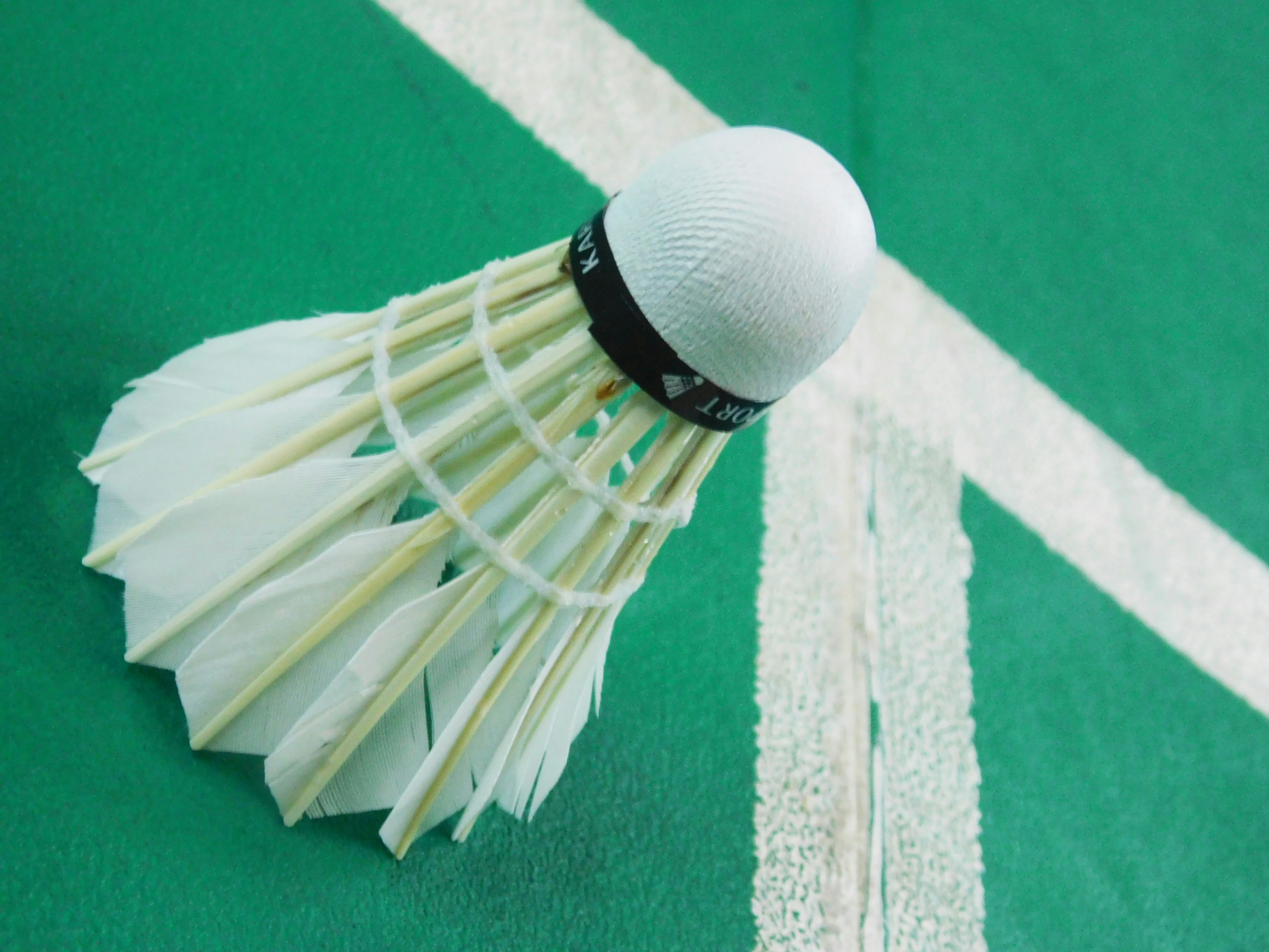 Badminton shuttlecock on court close up view.