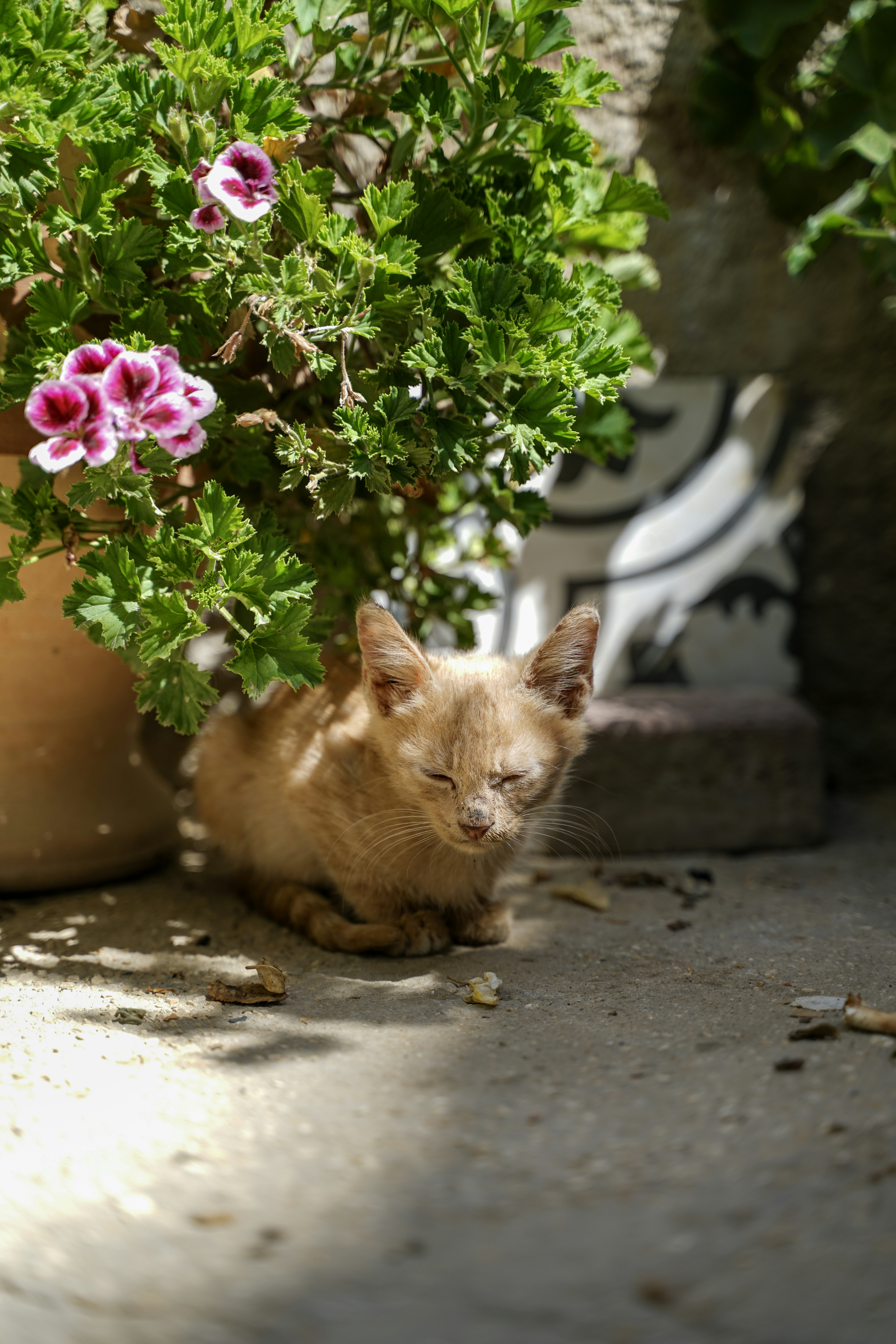 Photo by George 🦅 with Sony Alpha 7R II