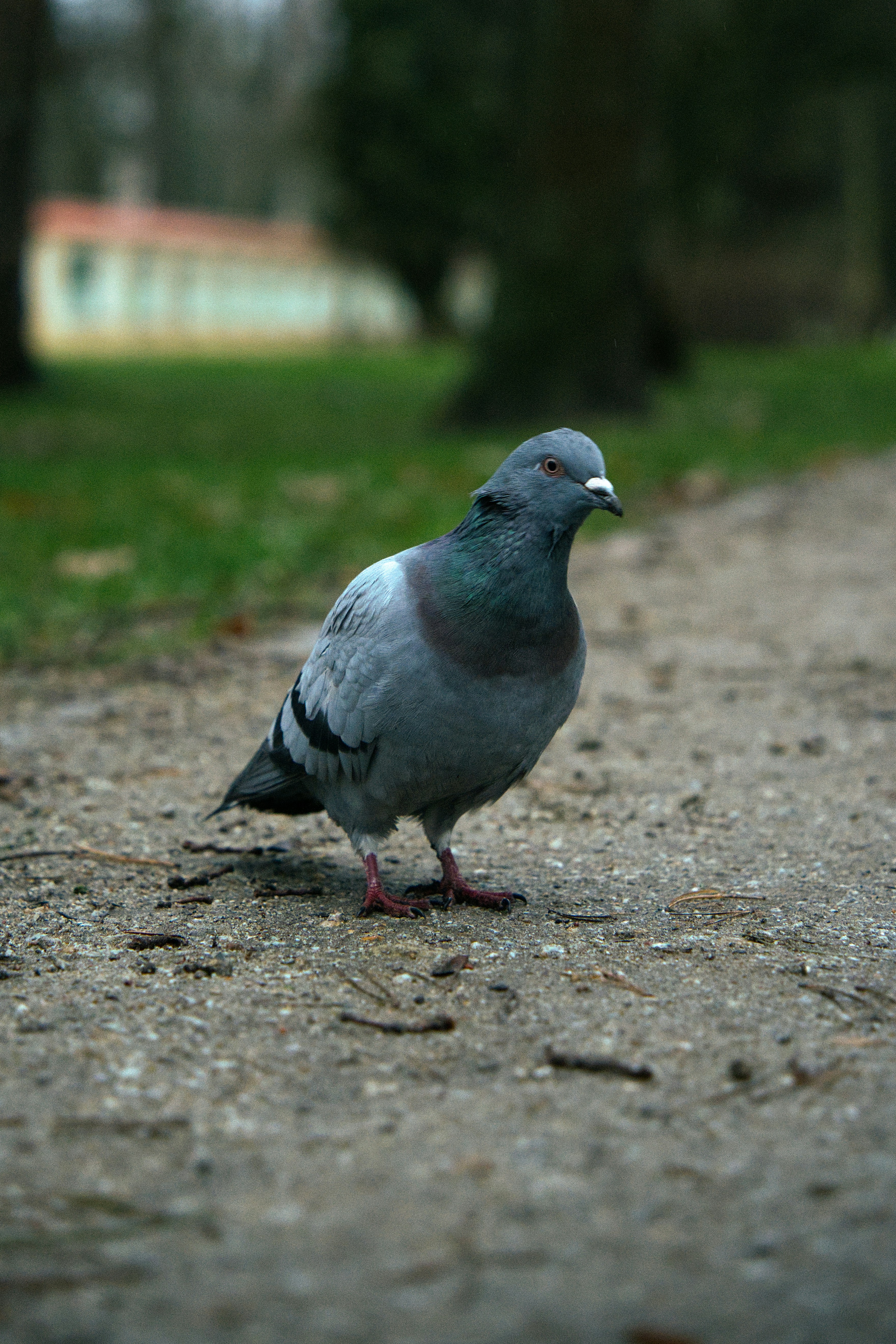 Photo by Stanisław Lul with Sony Alpha 7 IV