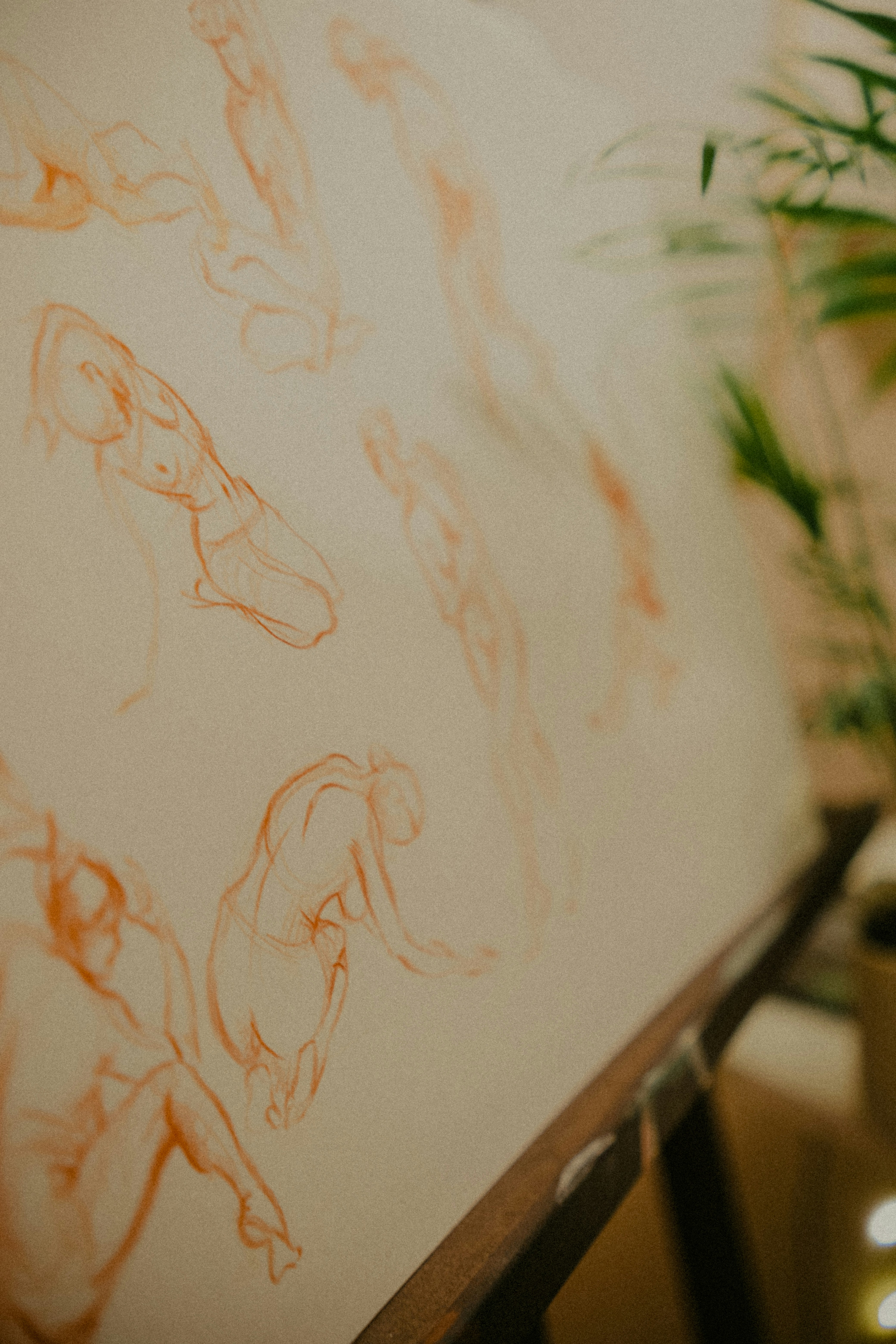 Warm Abstract Sketches on Papercurve Wall