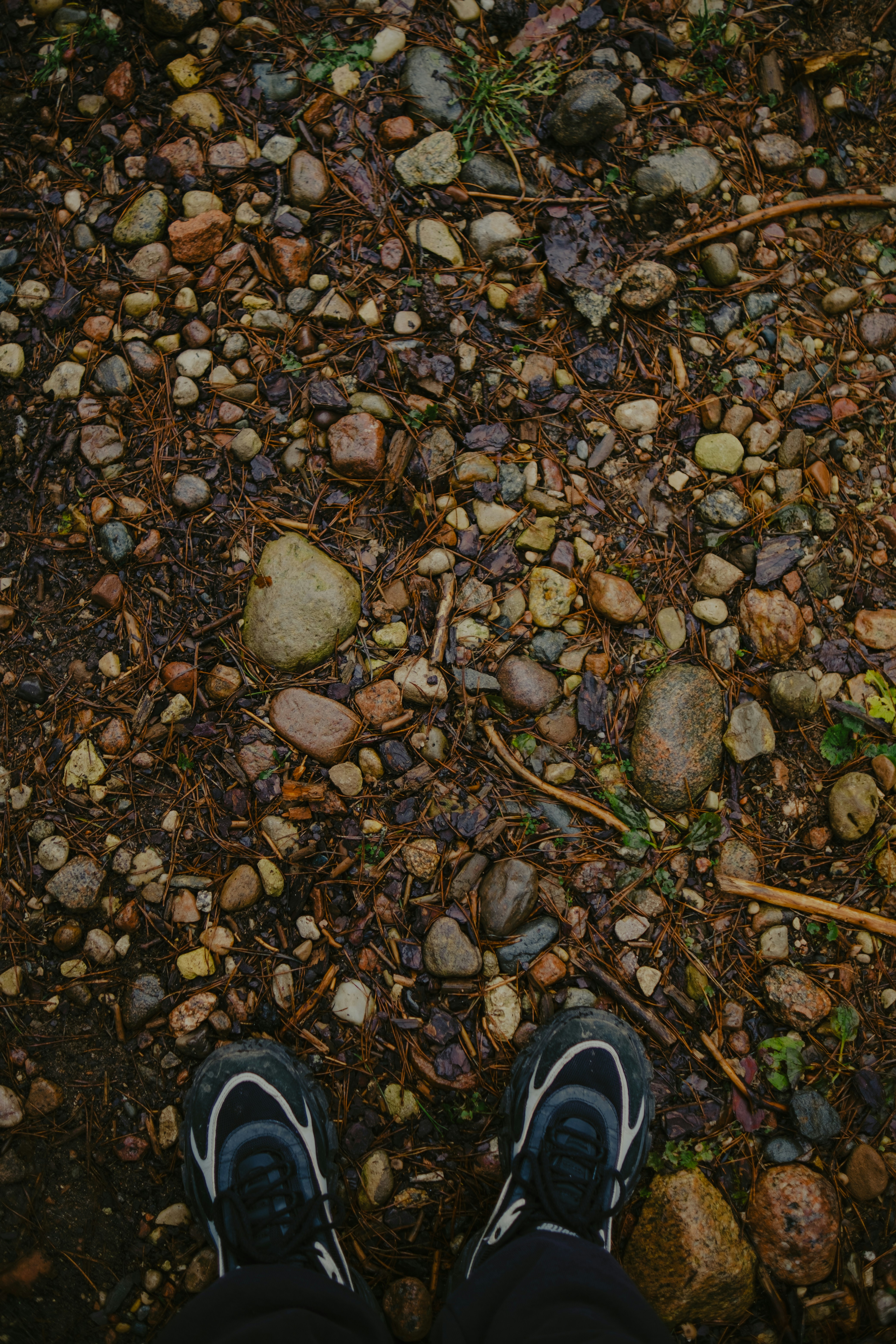 Grounded Steps: A Pebble-strewn Path Guided by Sneakers
