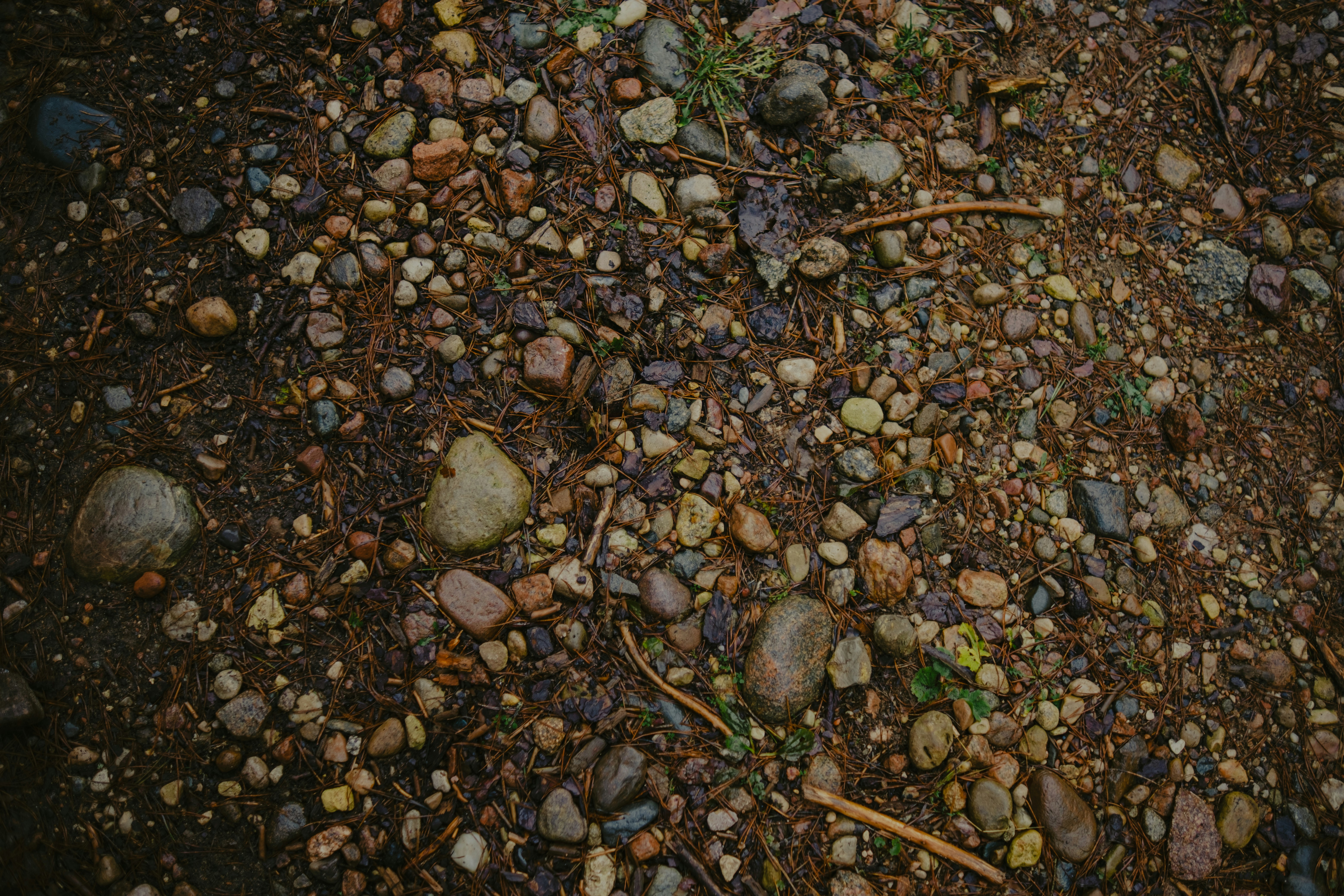 Photo by Hanna Lazar with Fujifilm X-S10