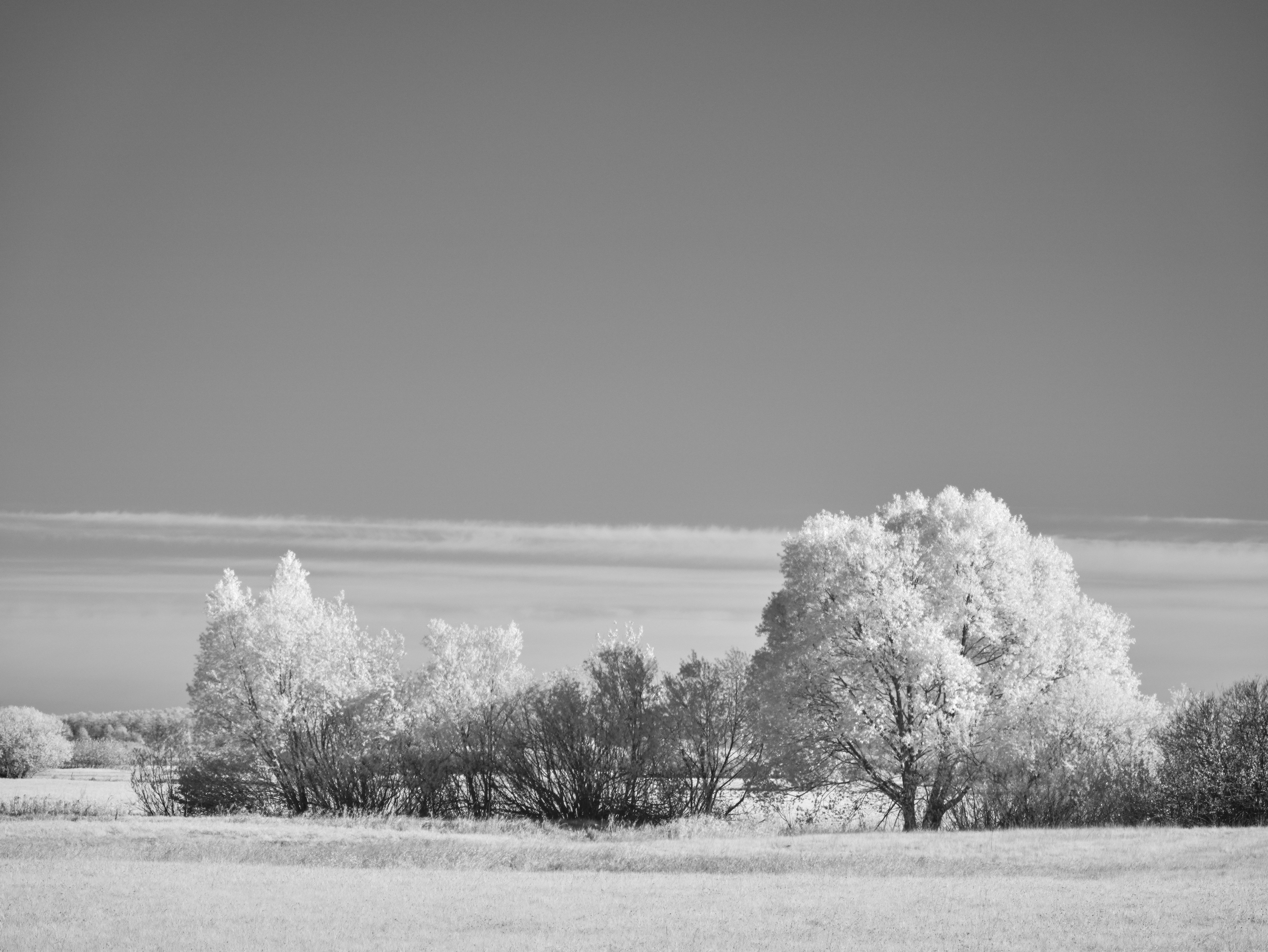 Photo by Wolfgang Hasselmann with Sony Alpha 7 IV