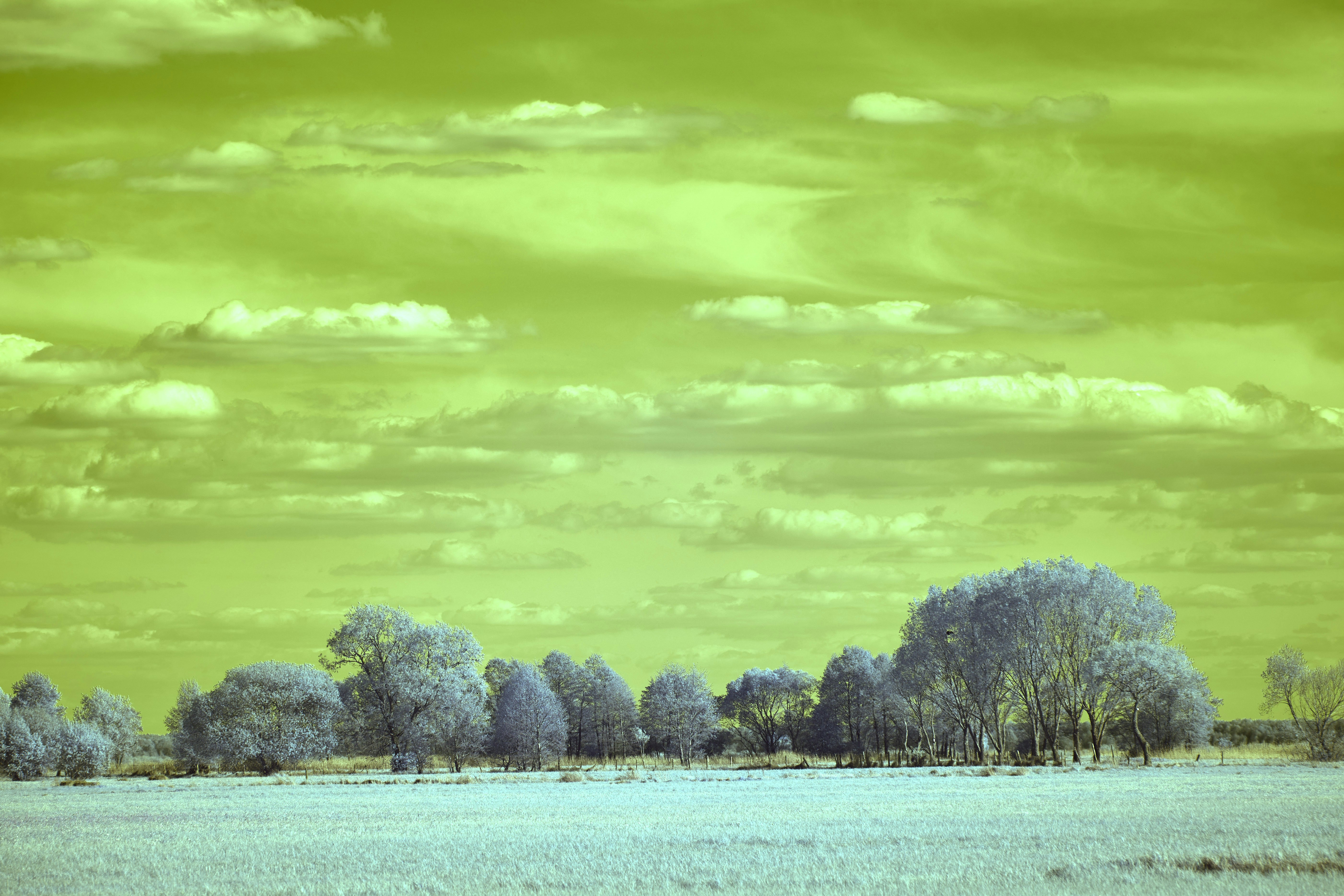 Hypersaturated Field of Quiet Pastel Sky