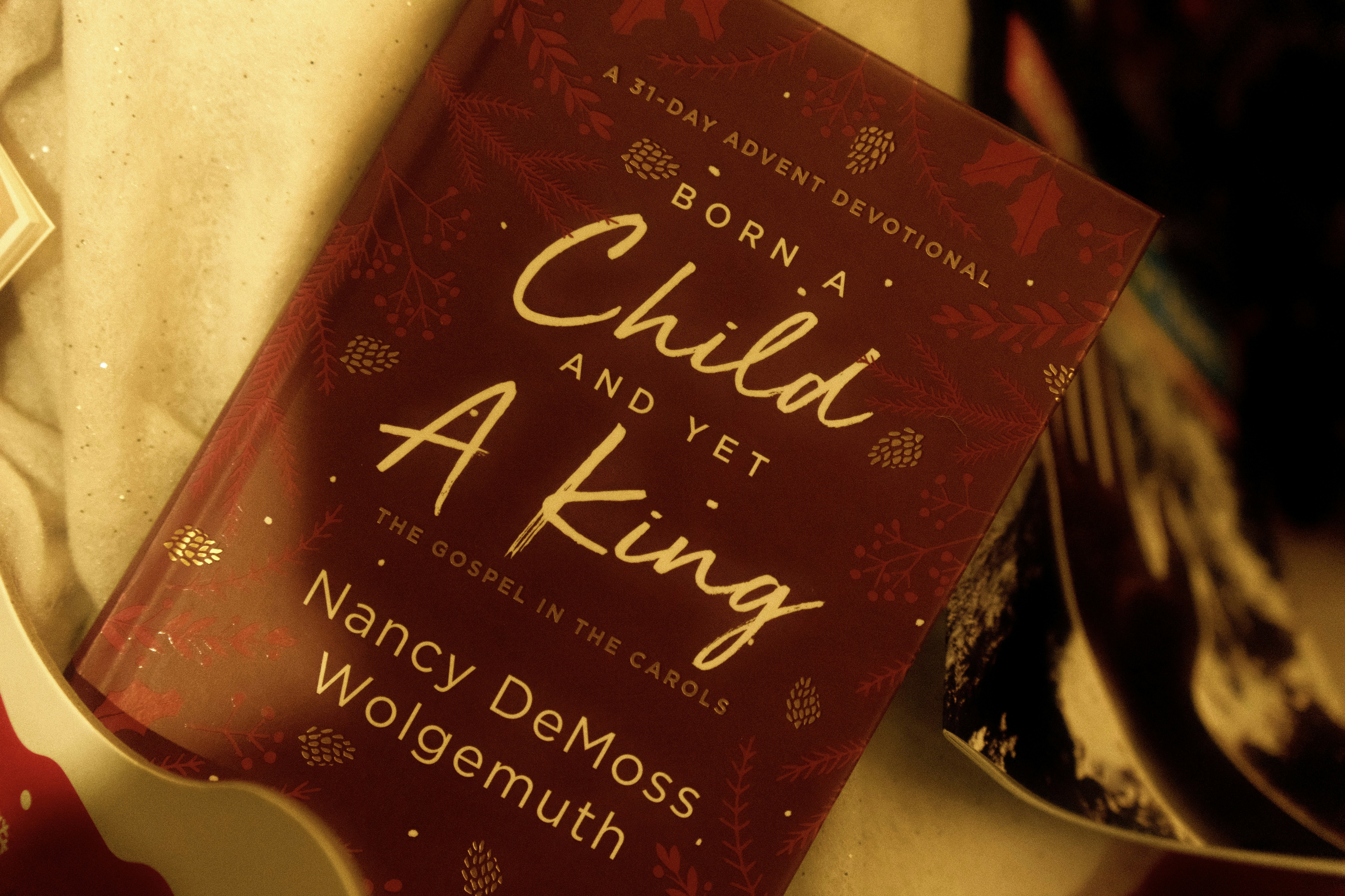 The Crown in Red: A Devotional Tale of Hope