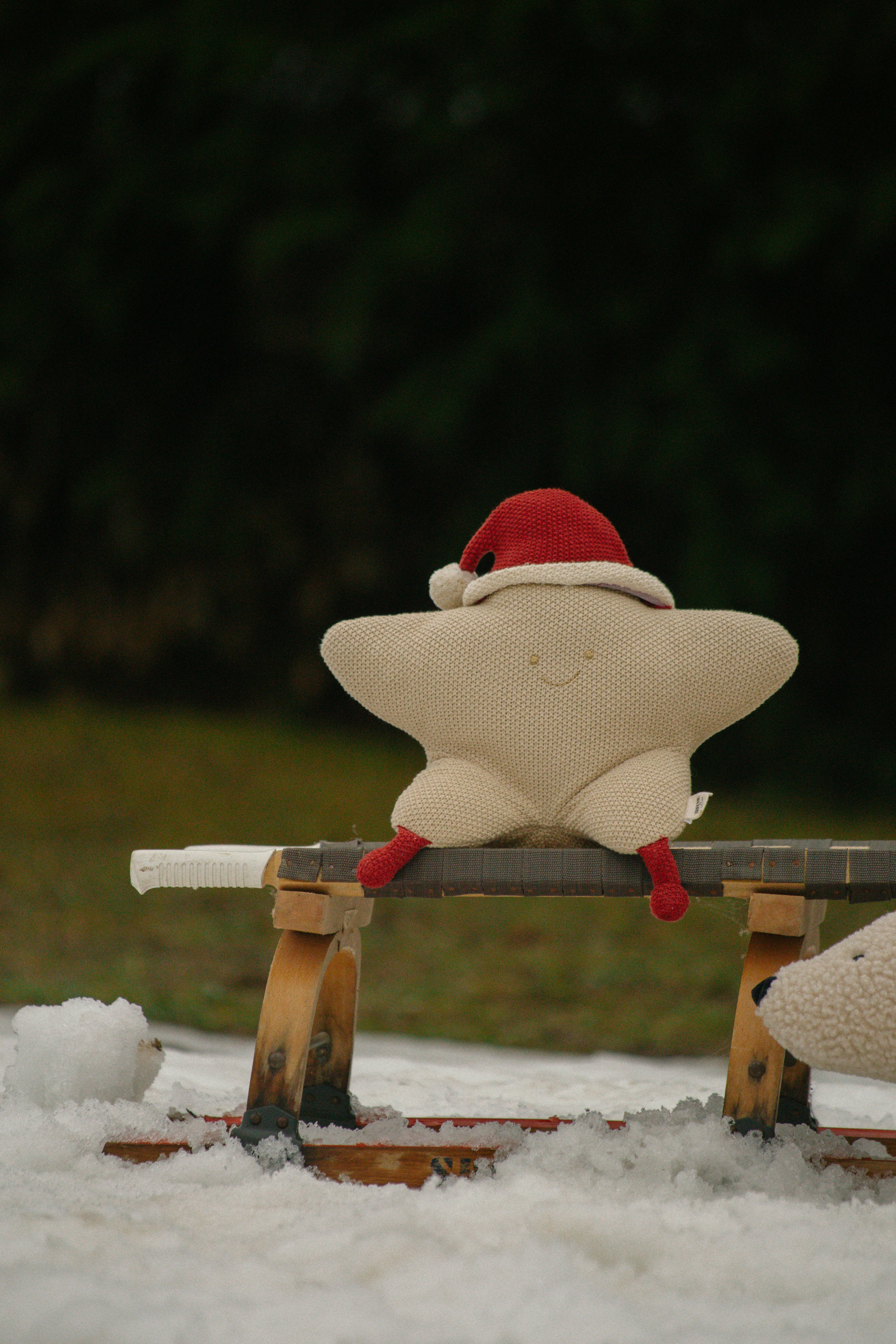 Santa plush on a winter bench under a dark garden