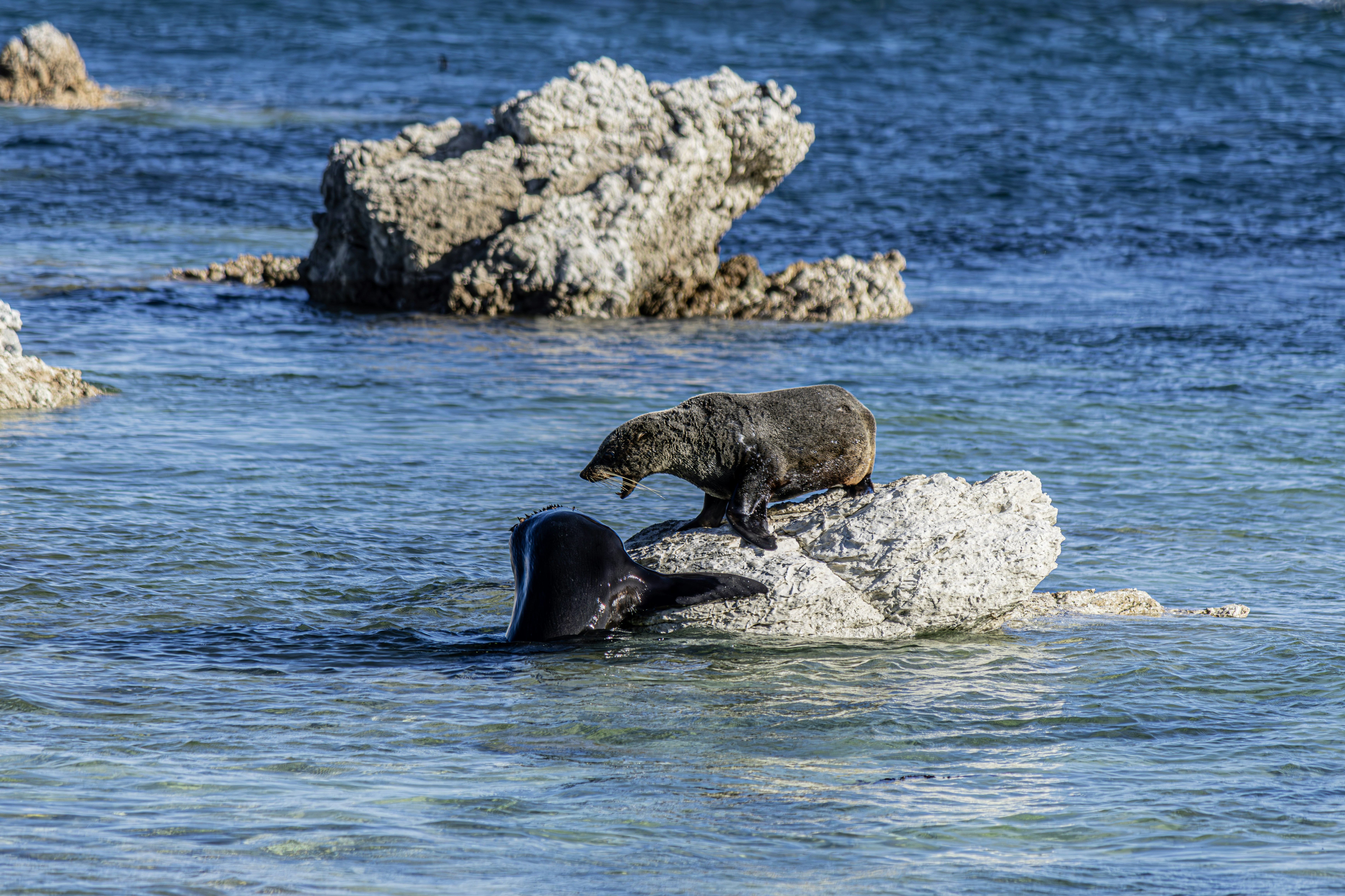 Photo by Ye Shu with Canon EOS R7