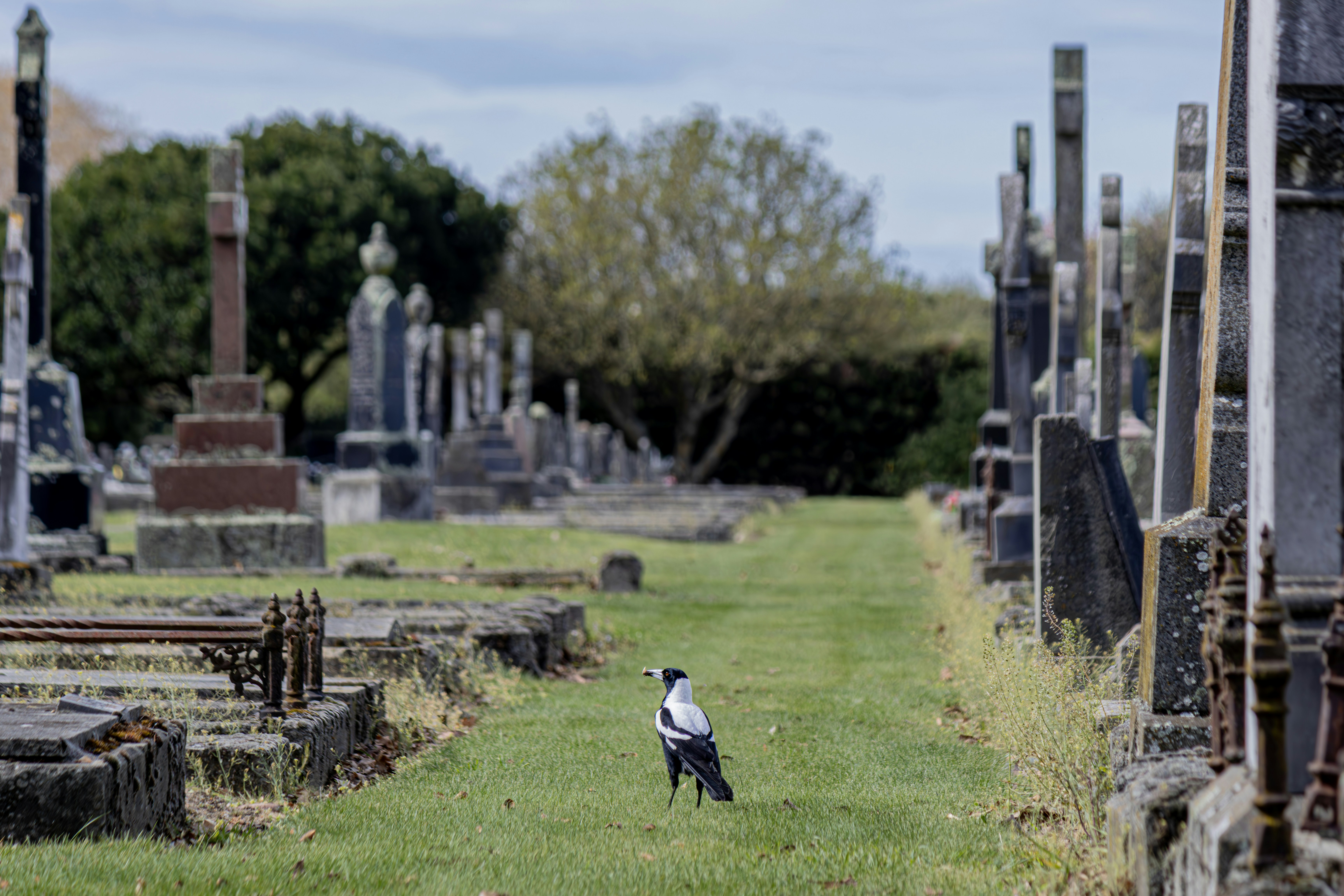 Photo by Ye Shu with Canon EOS R7