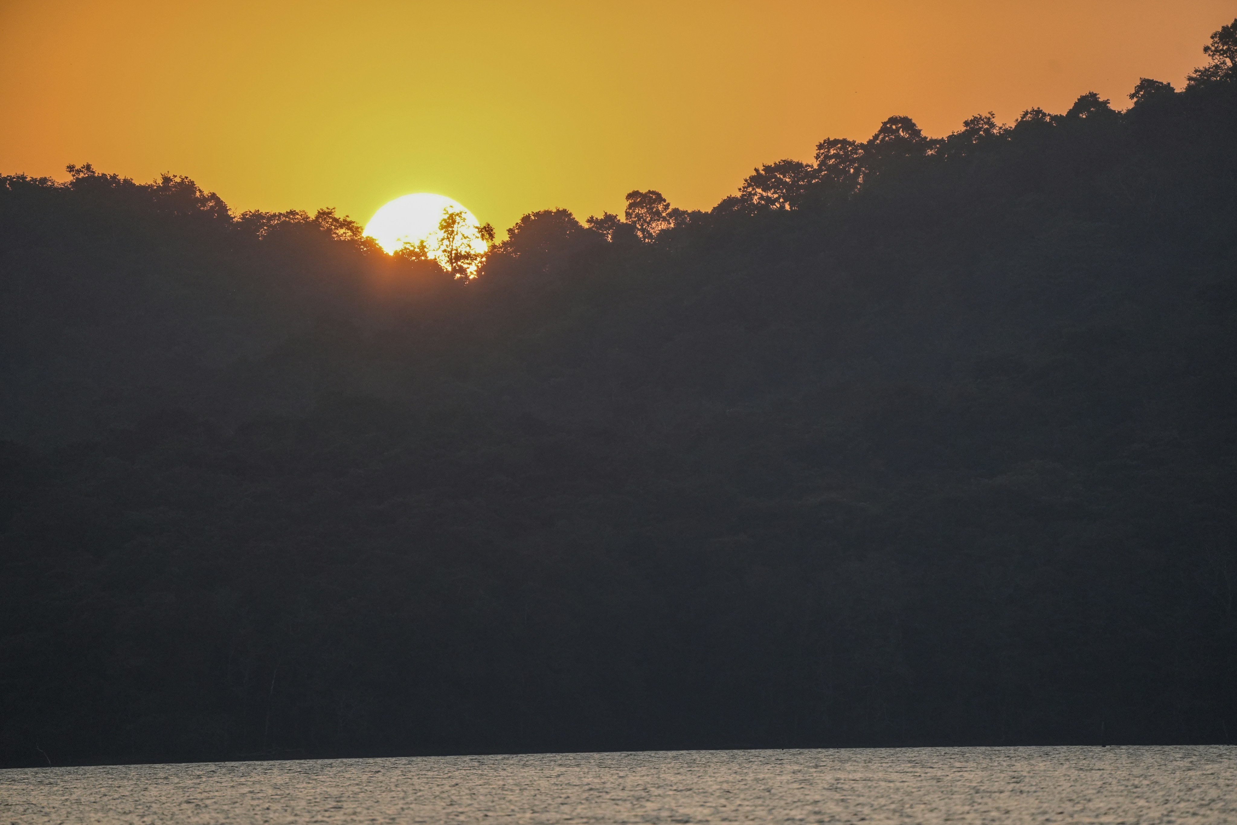 Sunset Over a Quiet Crest: Silhouetted Trees and Calm Water