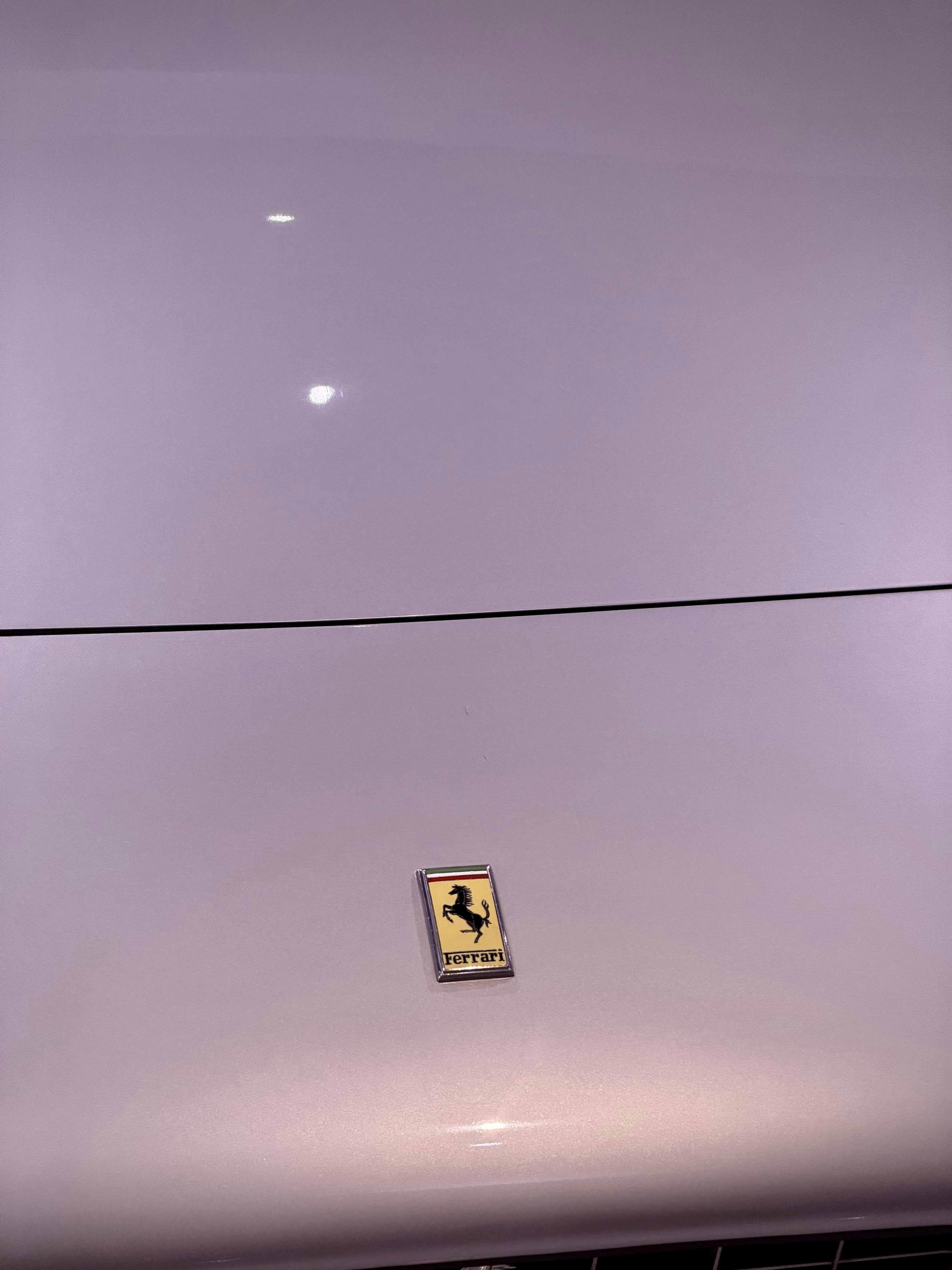 Ferrari Emblem on a Gleaming Hood under Soft Pink Reflections