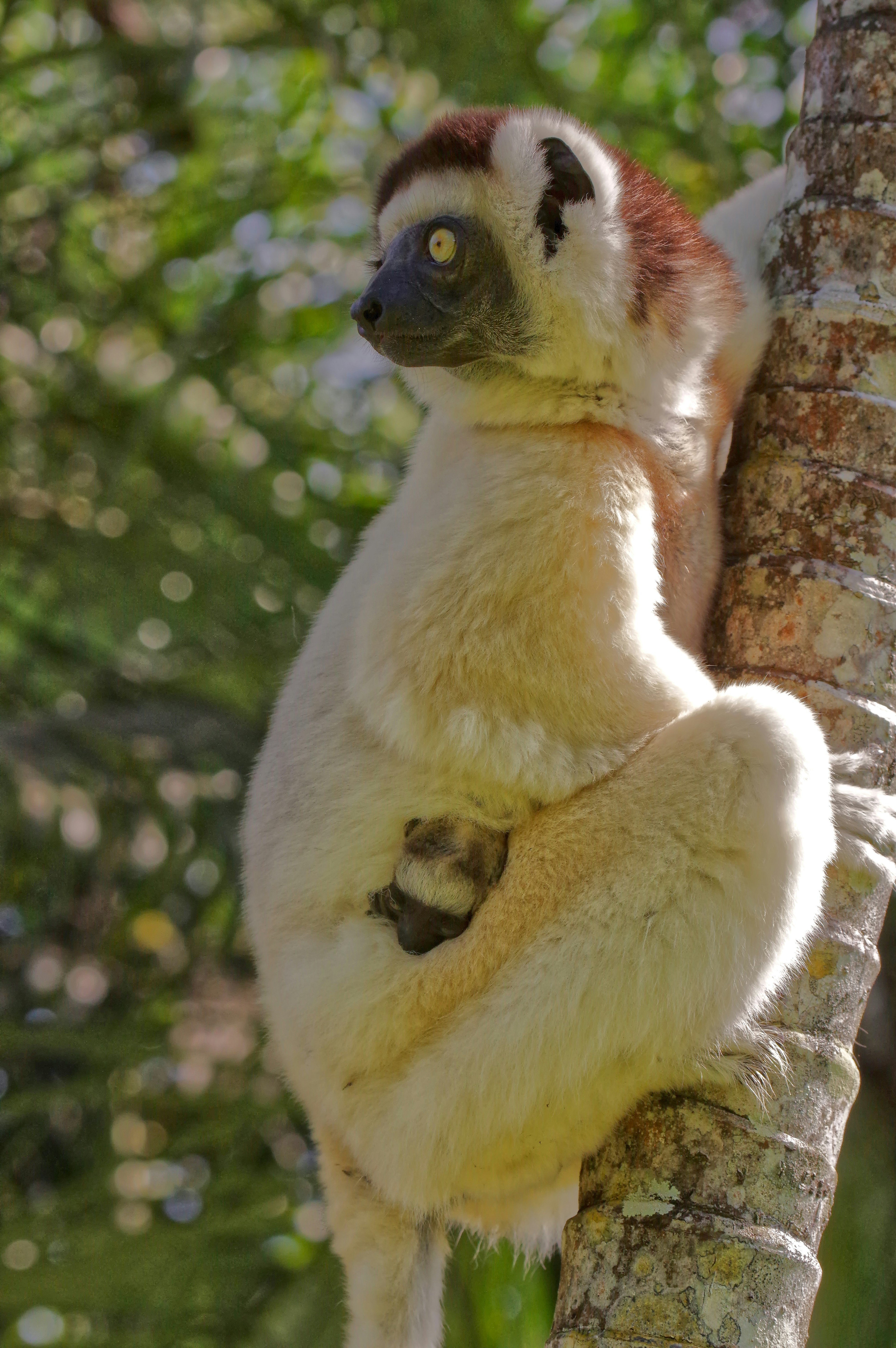 Photo by Bob Brewer with Pentax K-3