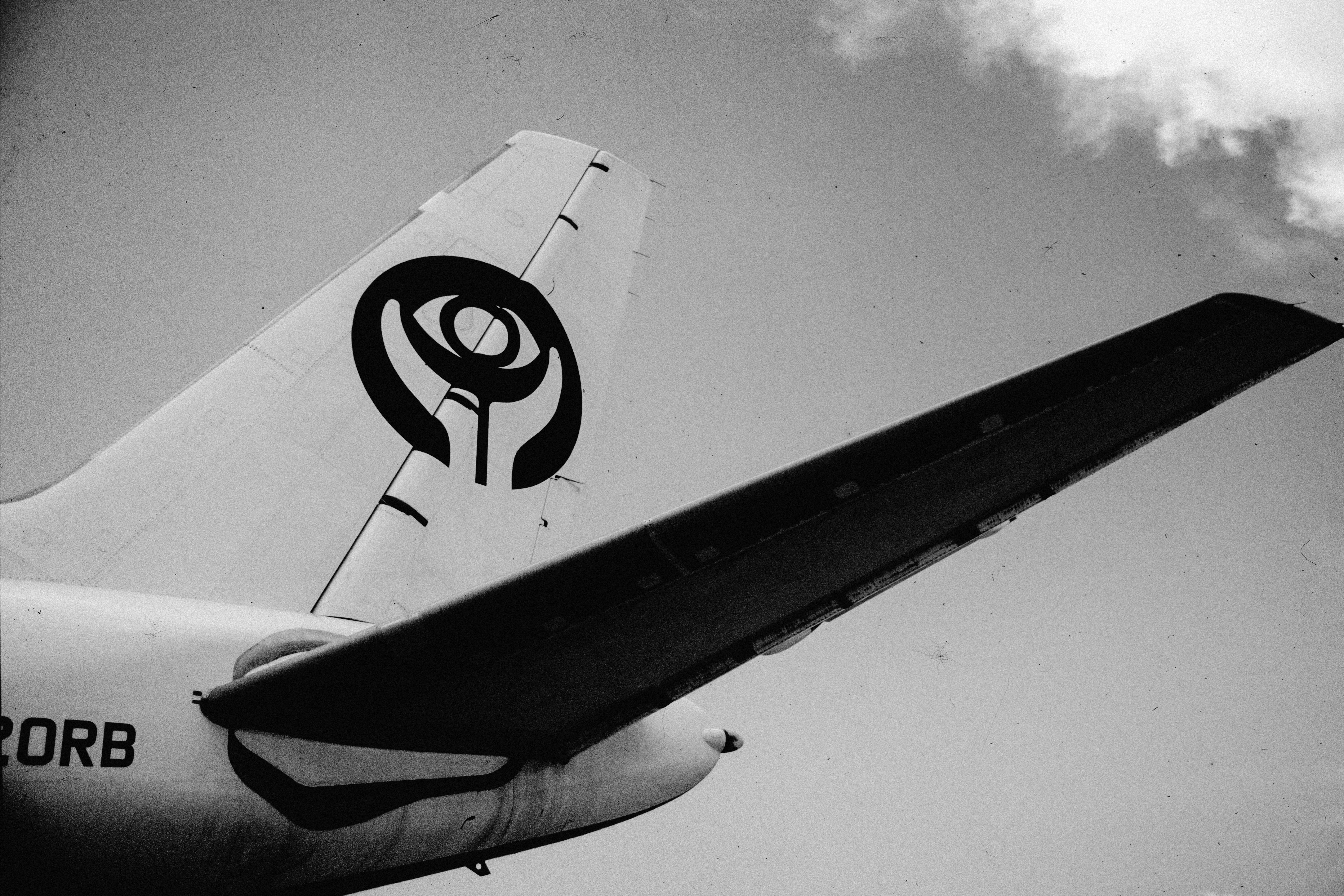 Tail Fin Emblem in Flight: A Black-and-White Study of Flight History