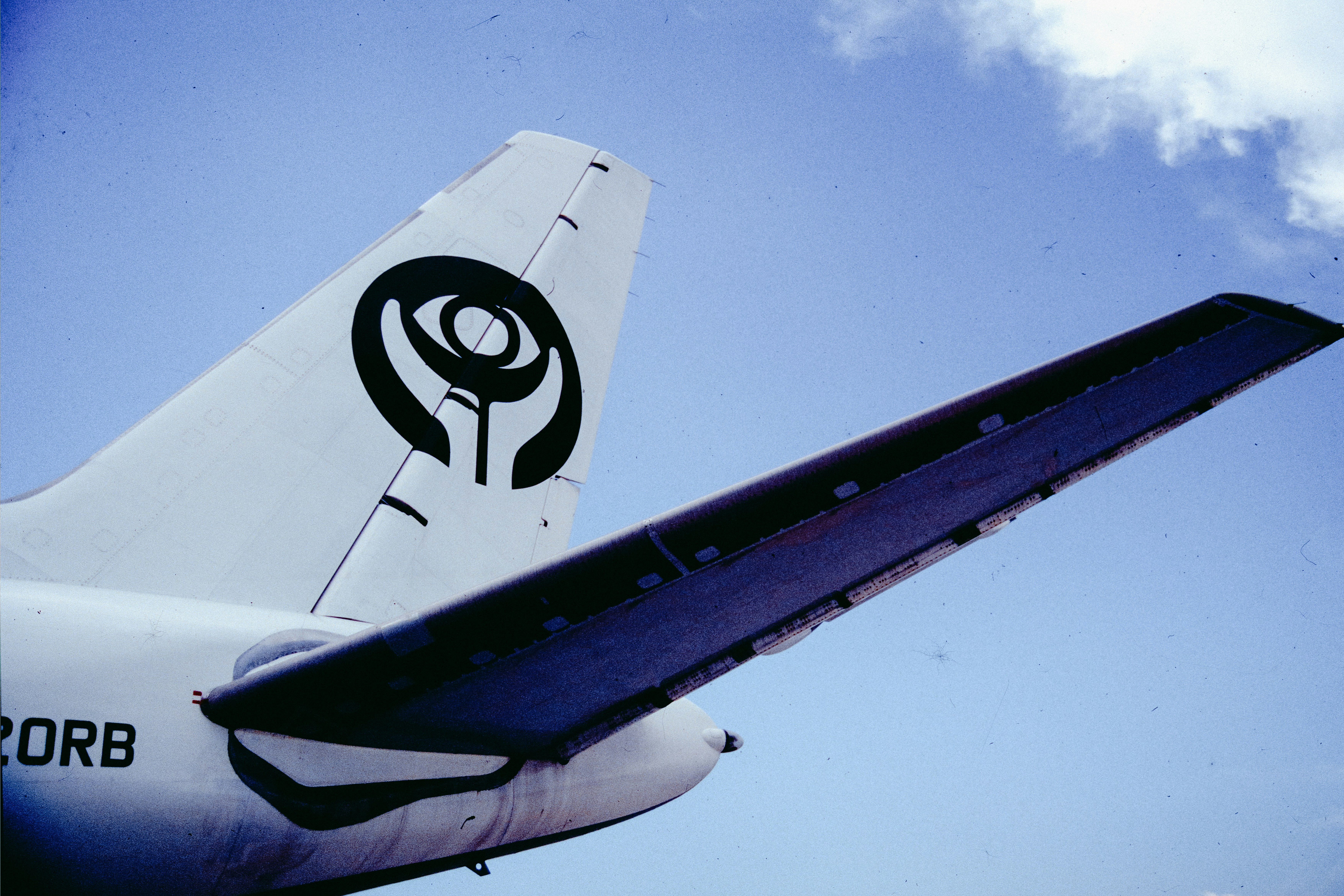 Tail Emblem in Flight: A Close-up of the Jet’s Fin and Wing