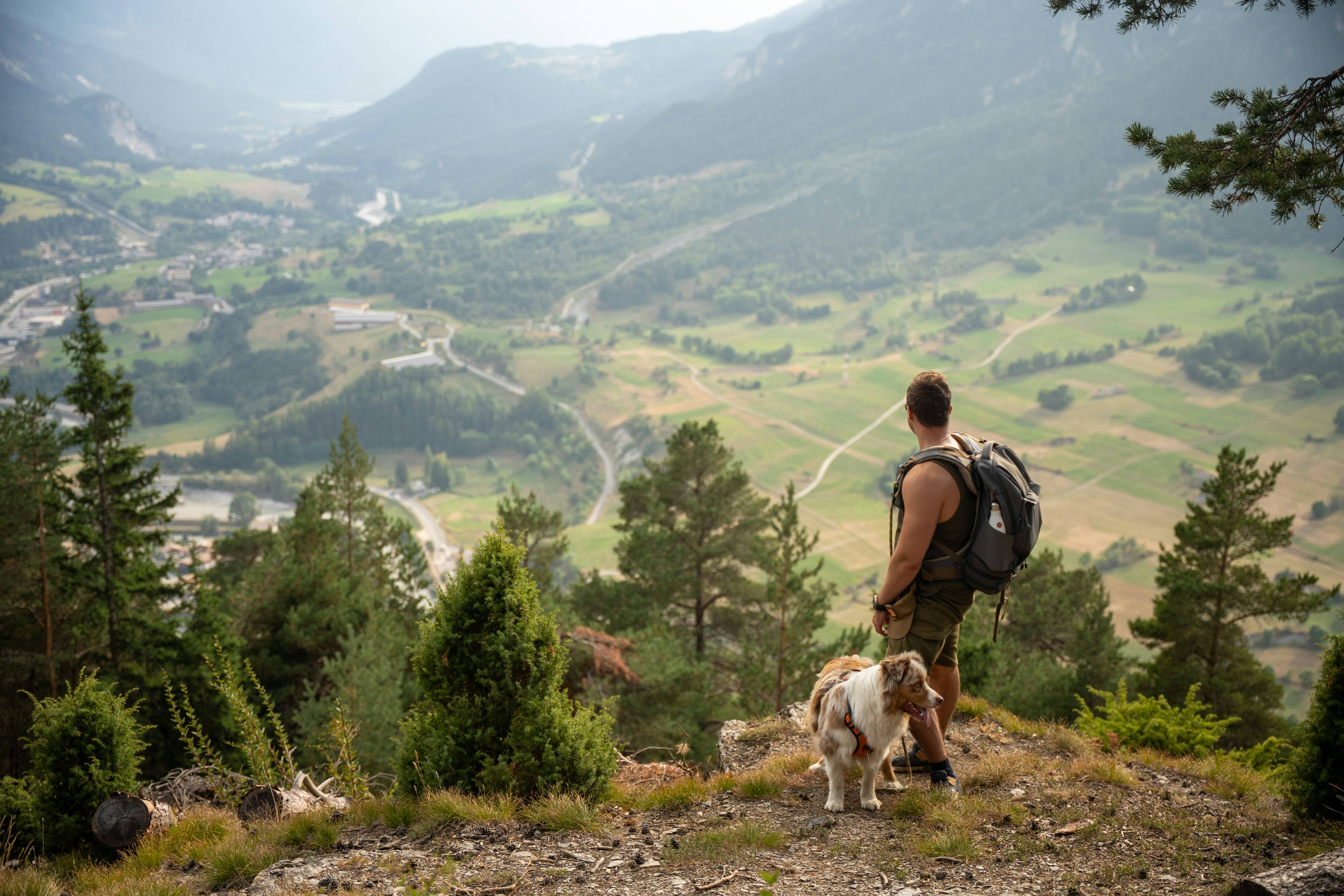 Horizon Hiker: A solitary trekker and his companion overlook a valley