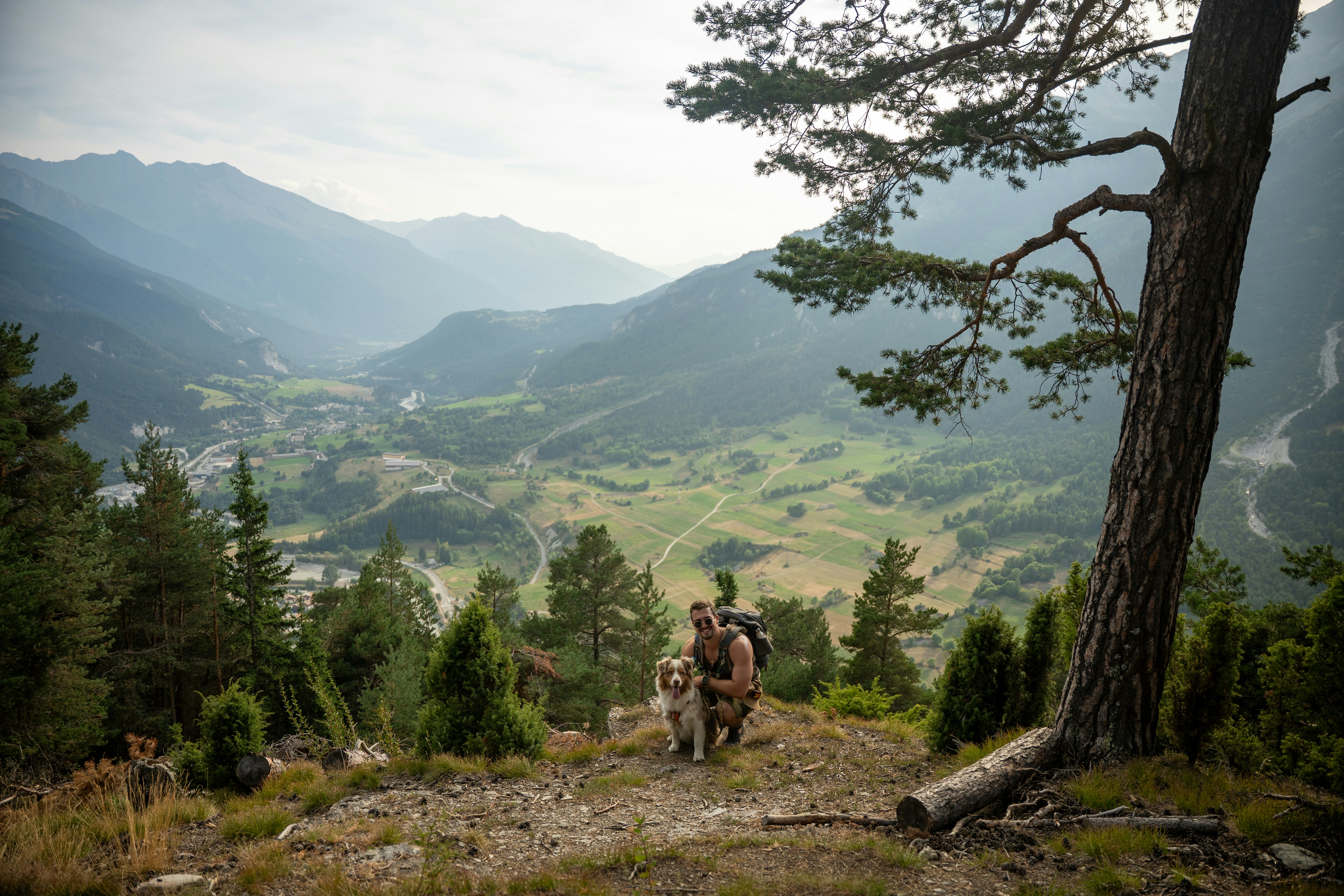 Hikers with a Dog Pause on a Mountain Ridge Overlooking a Valley