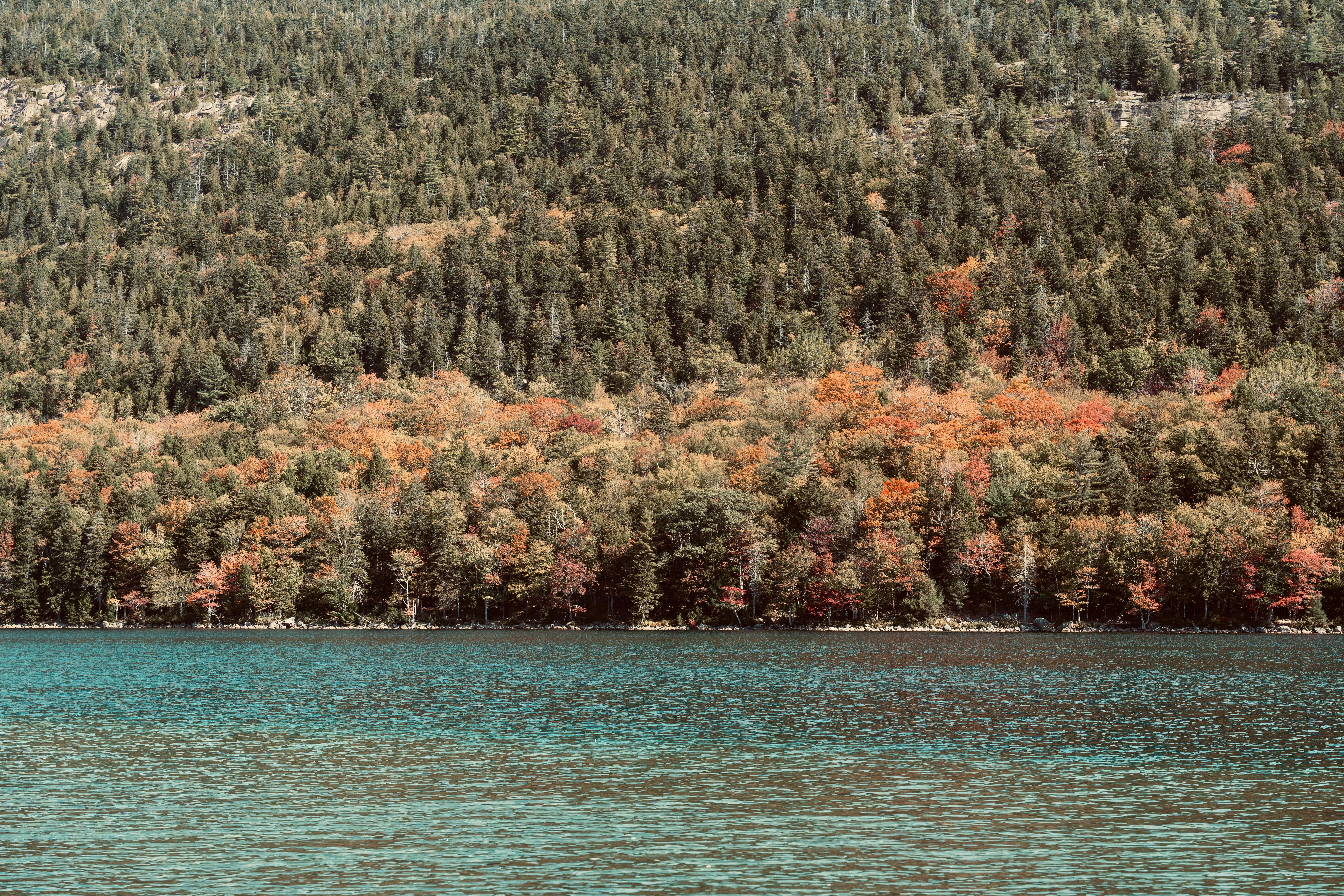 Autumn forest beside a clear blue lake. photo – Free Forest Image on ...