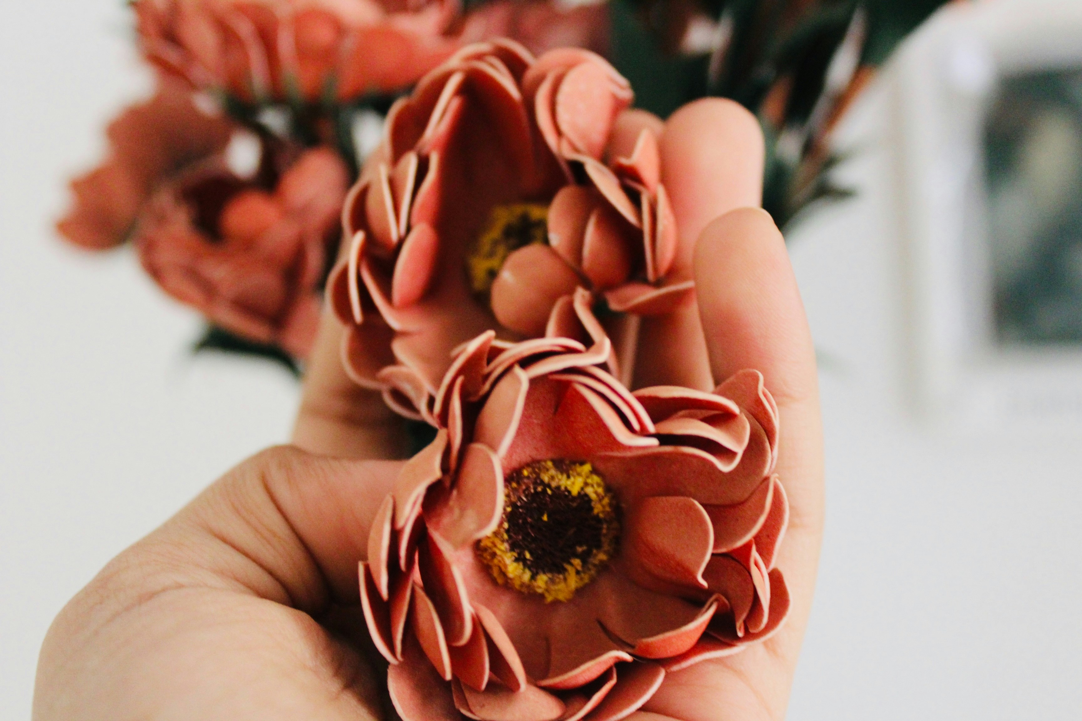 Petal Windows: A Handful of Paper Flowers in Focus