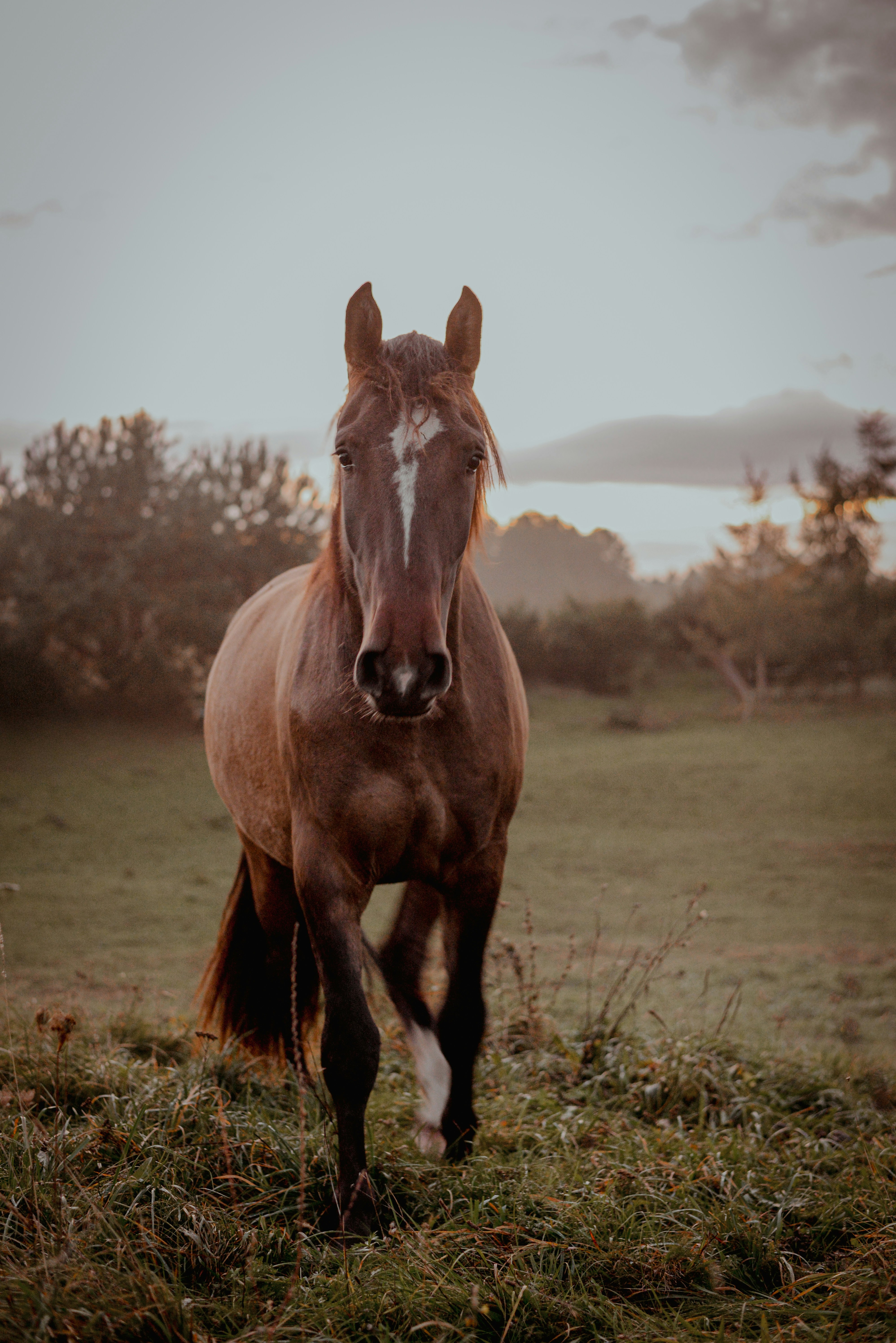 The Gatekeeper at Twilight