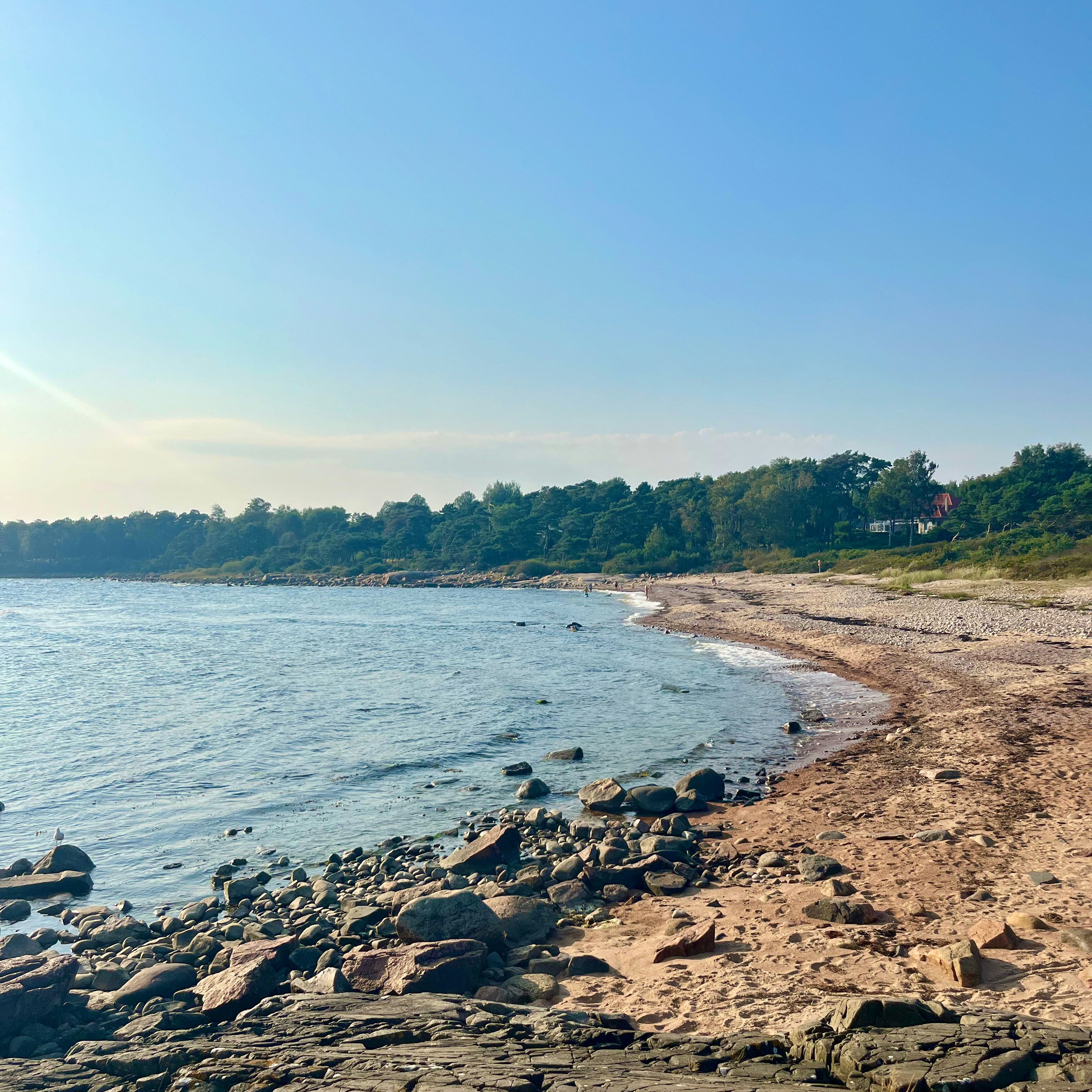 Sunlit shoreline with rocky forecourt and distant tree line