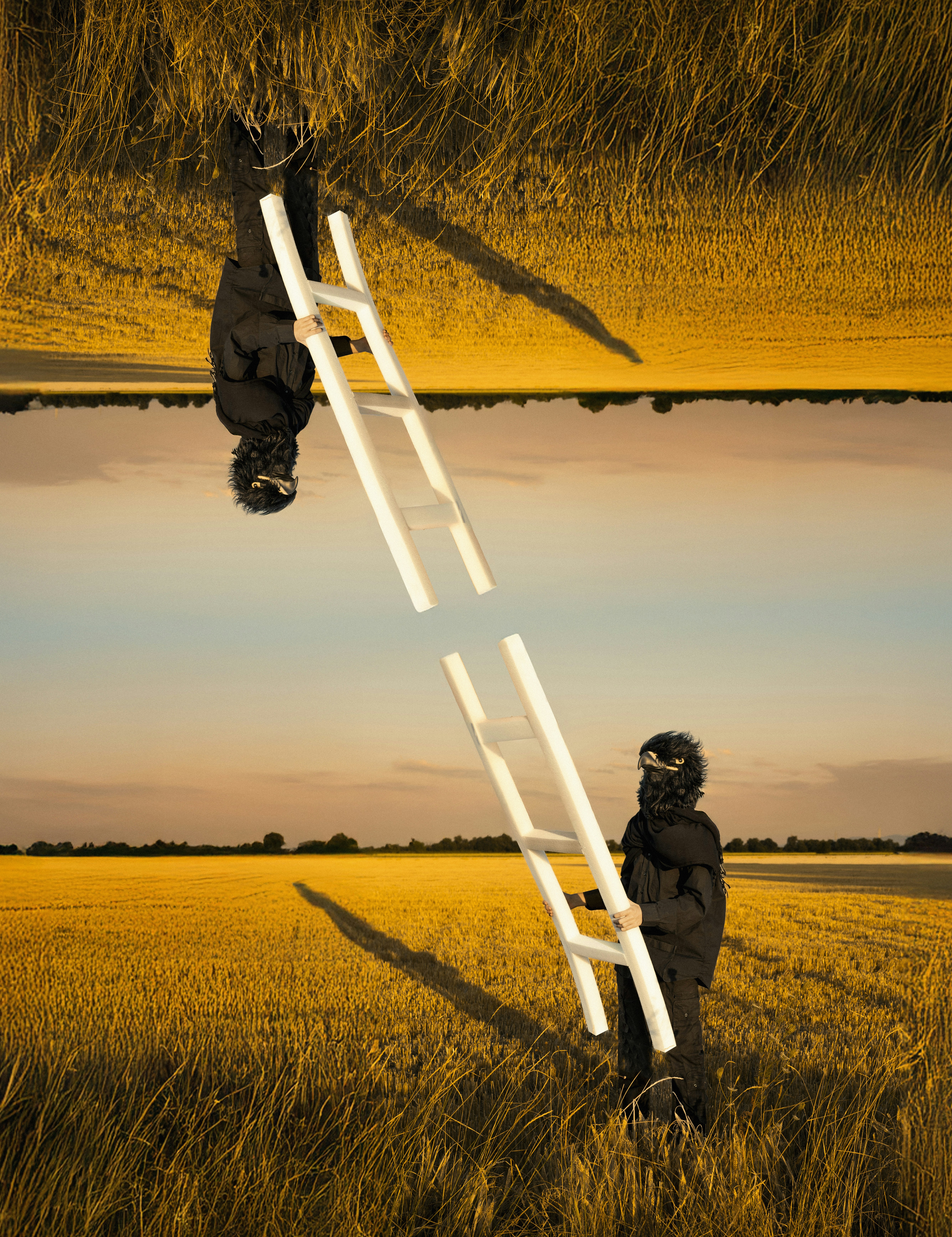Ladder of Light: Dual Figures in a Golden Field