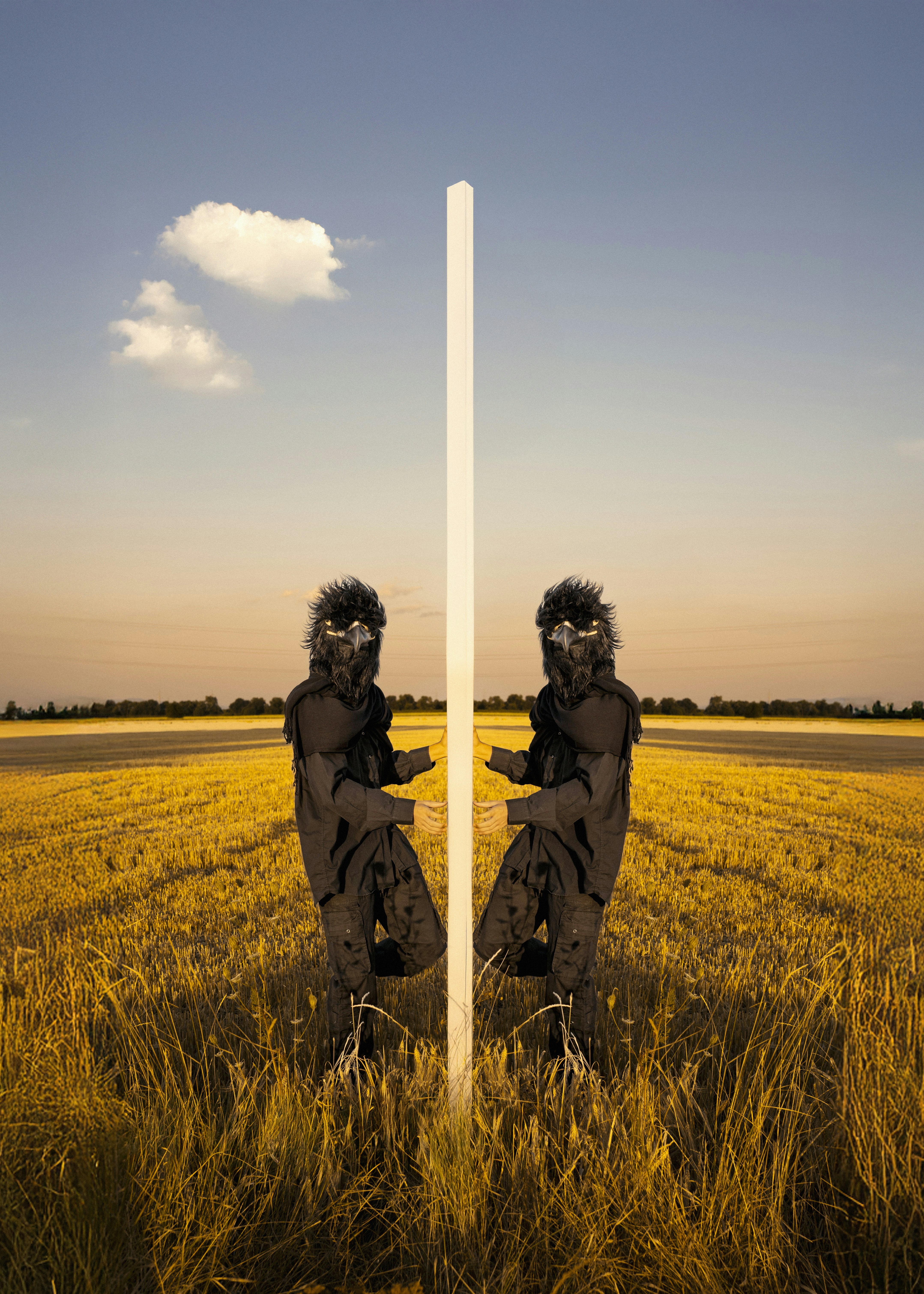 Double in the Field: a splitting pole and mirrored figures
