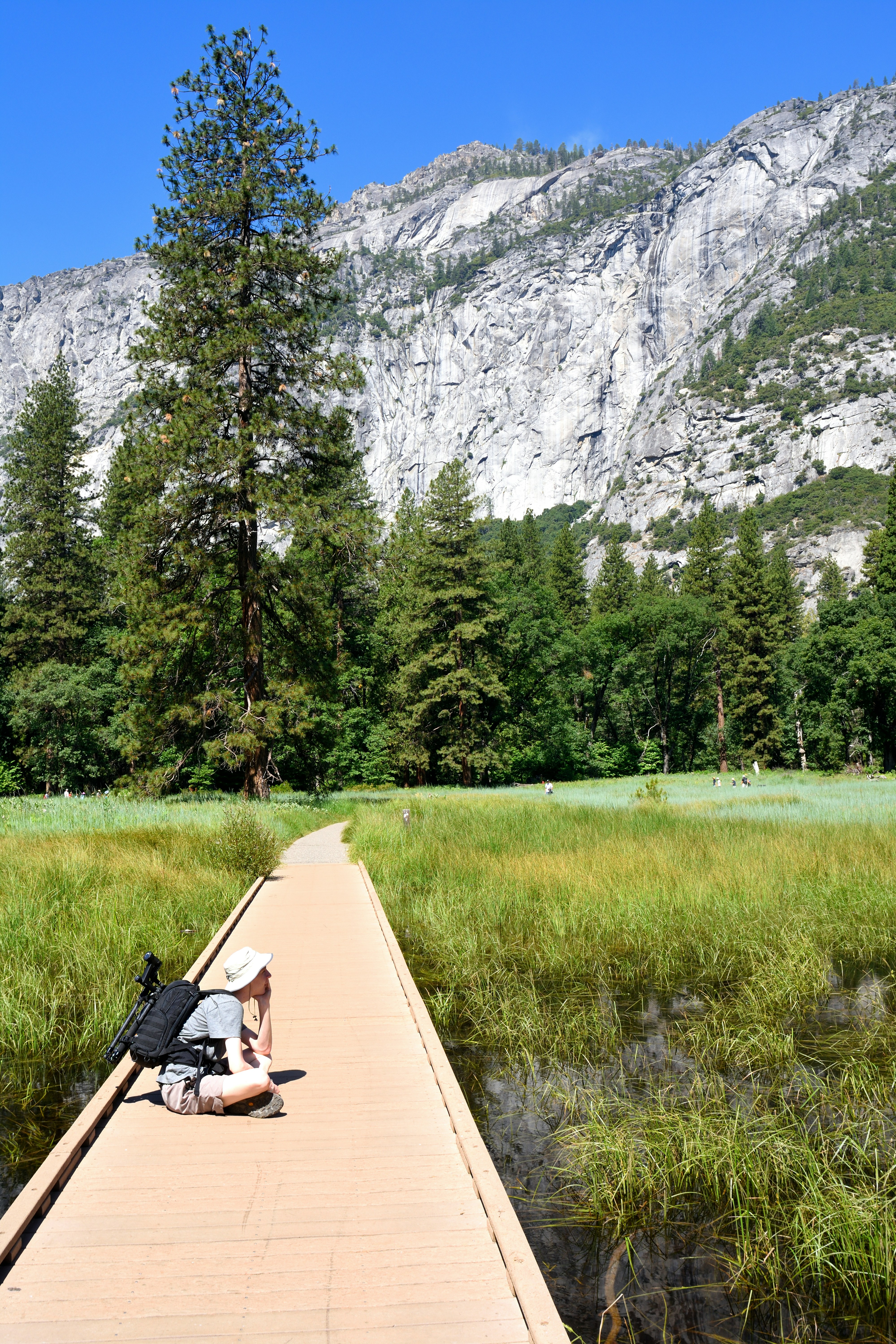Echoes of the Boardwalk: Hikers, Meadow, and Majestic Cliffs