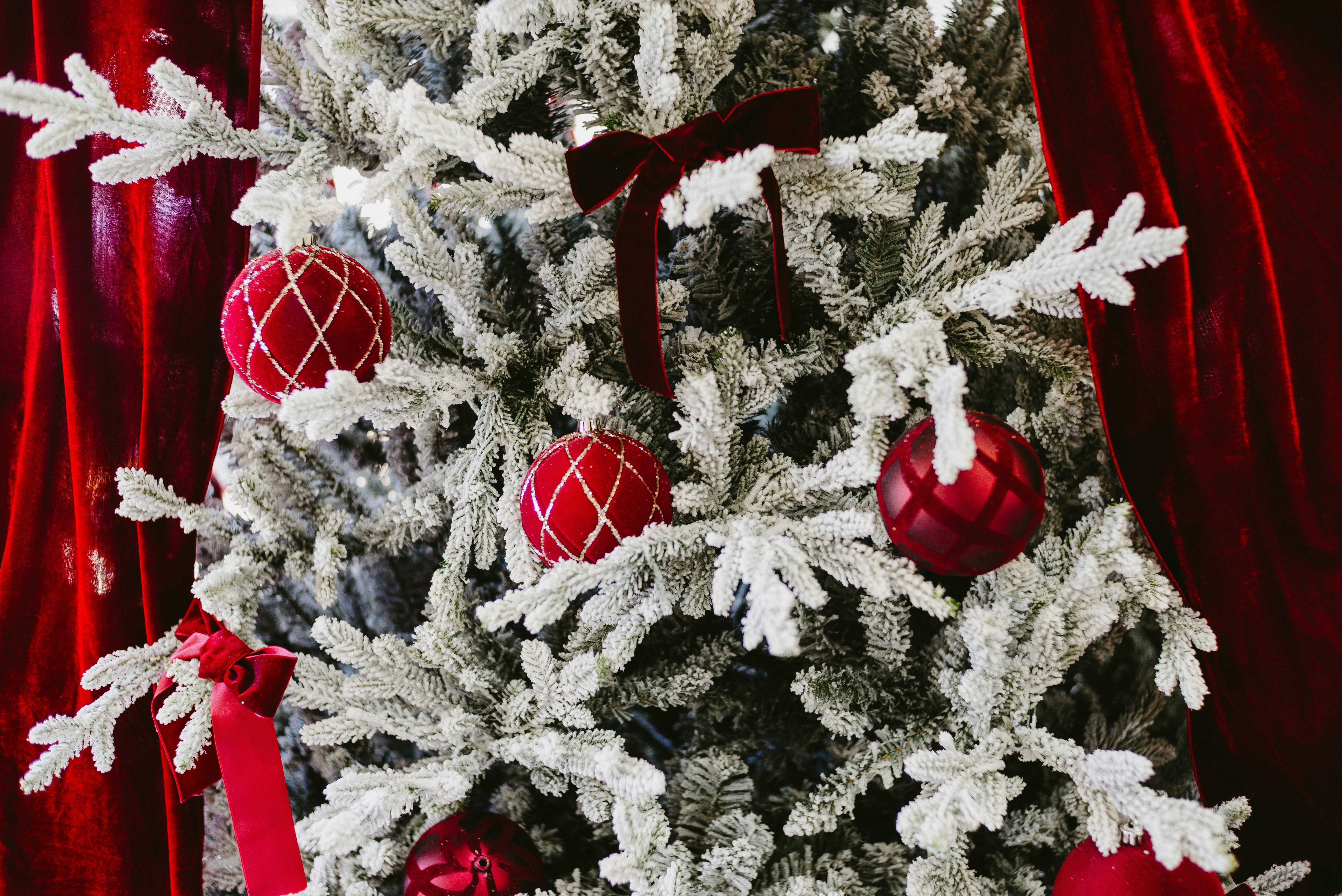 Snow-kissed Christmas Tree Adorned with Red Ornaments and Velvet Ribbon