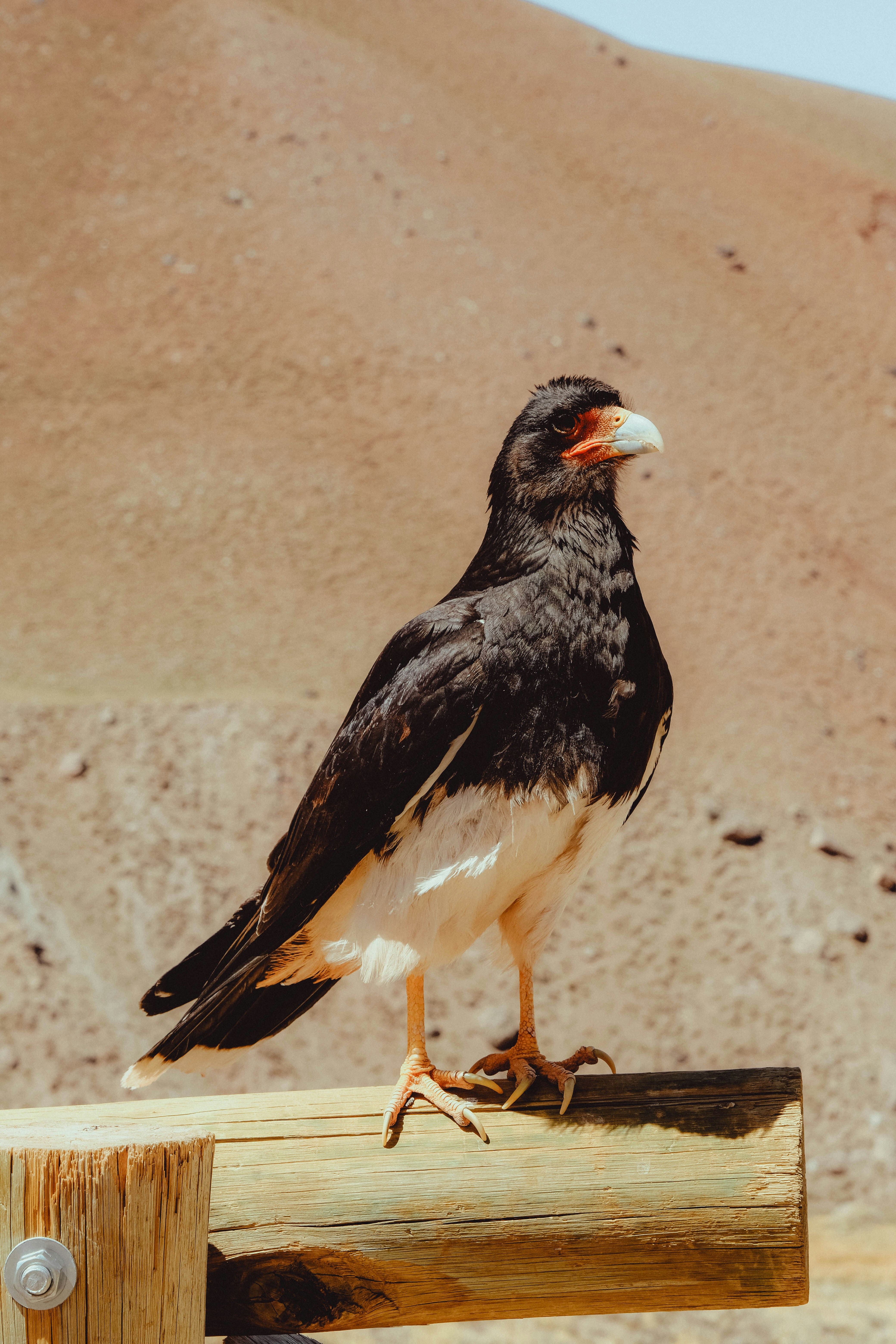 Photo by Joao Vitor Marcilio with Fujifilm X-T30